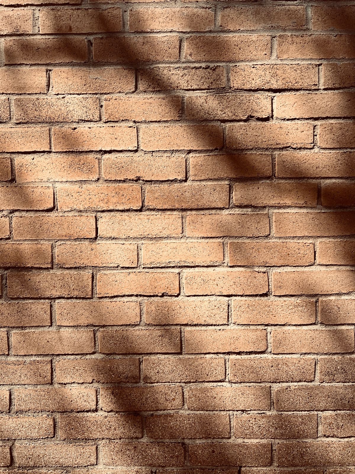 Wall Design Photos, Download The BEST Free Wall Design Stock Photos ...