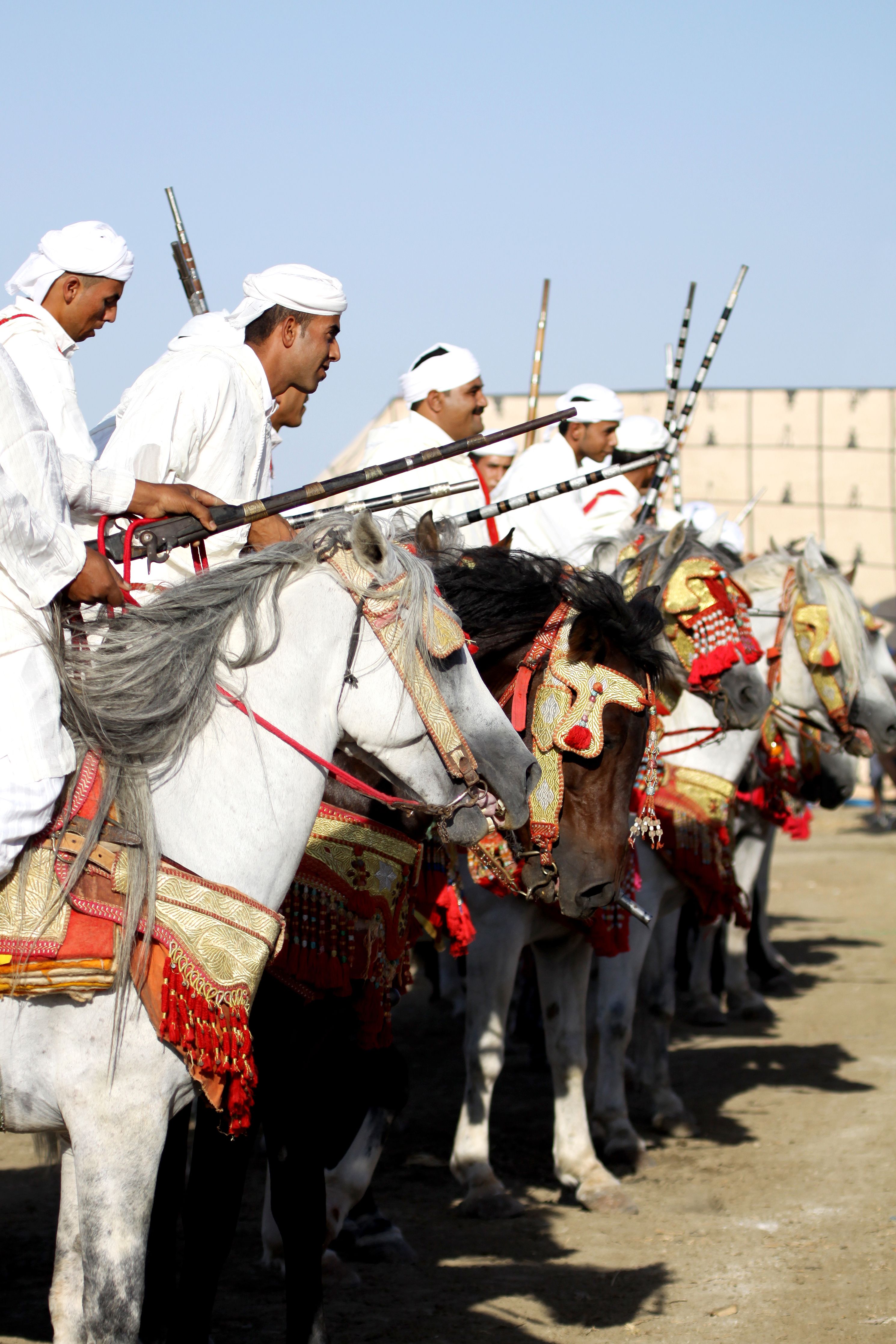 Traditional Moroccan Horsemen in Fès Parade · Free Stock Photo
