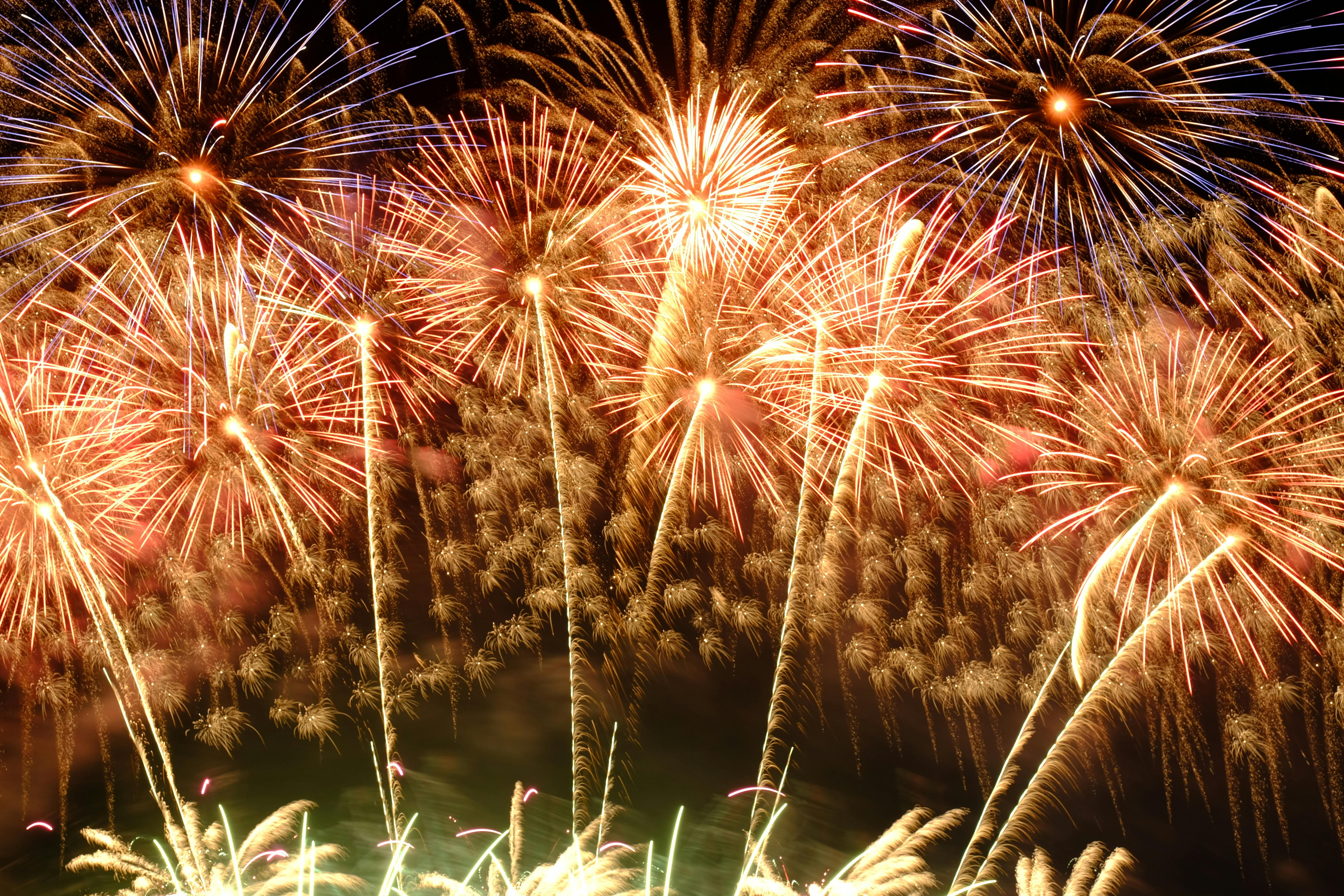 Bright Colorful Fireworks Display at Night · Free Stock Photo