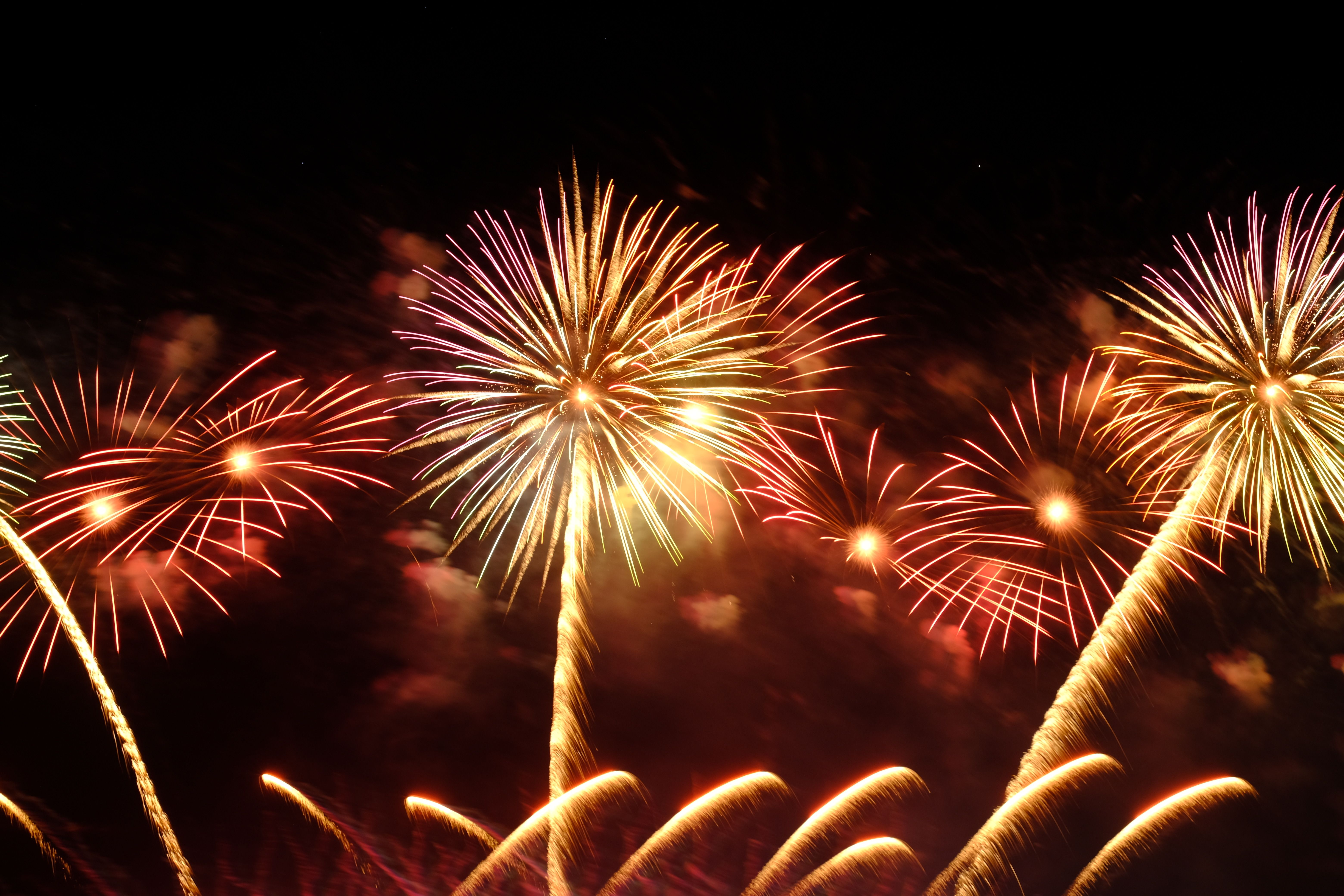 Vibrant Fireworks Display Against a Night Sky · Free Stock Photo