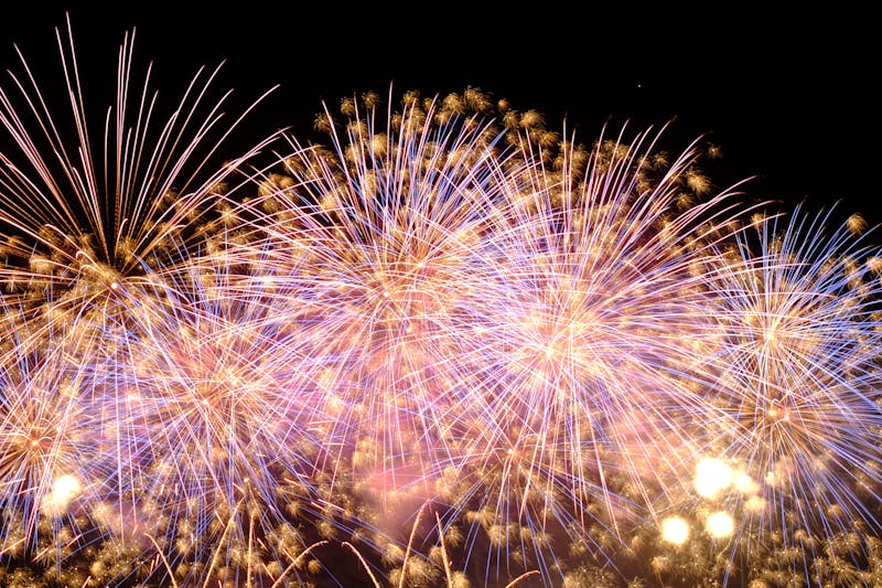Bonfire Night Photos, Download The BEST Free Bonfire Night Stock Photos ...