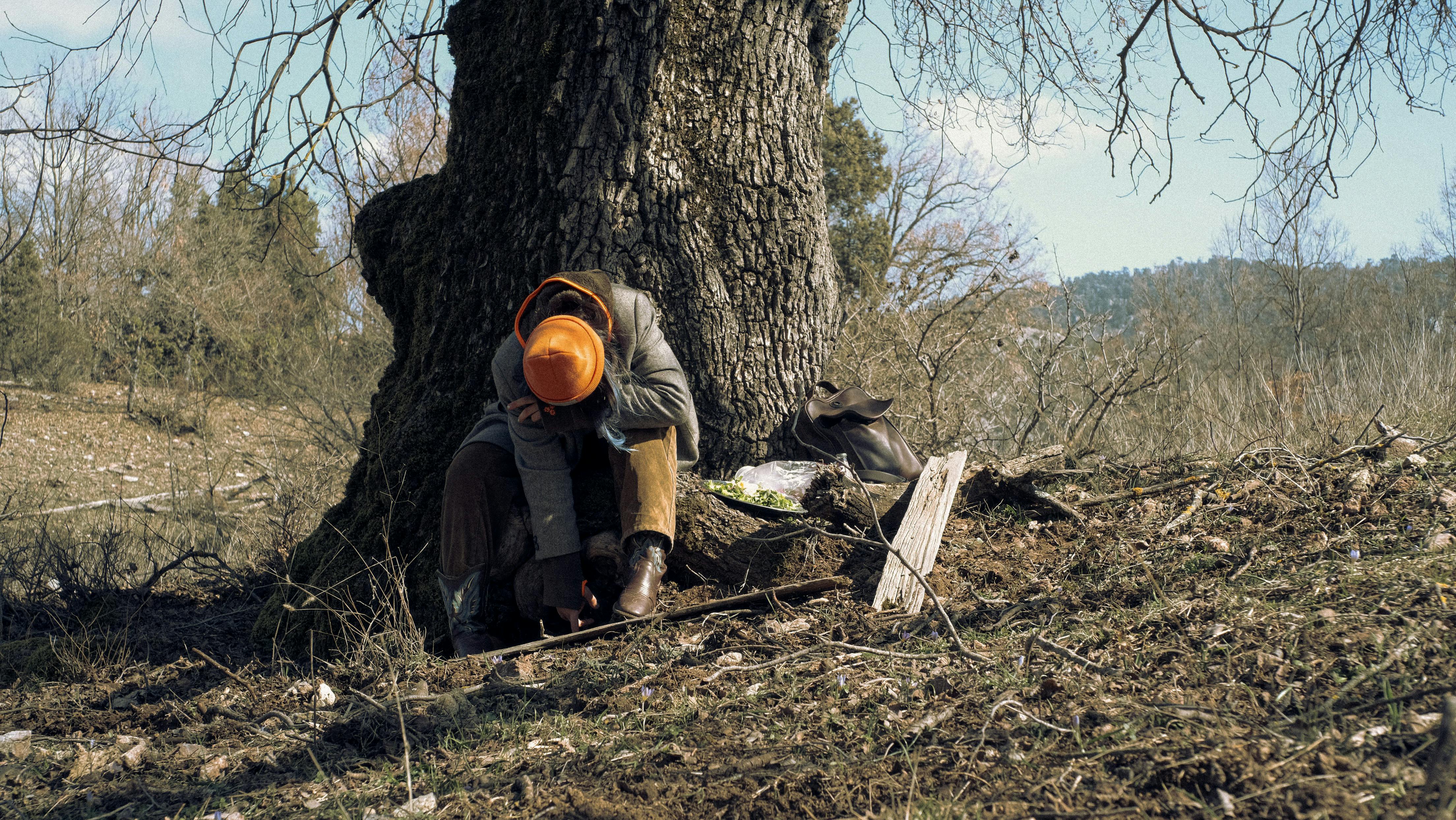 Man Resting Under a Tree in Autumn Landscape · Free Stock Photo