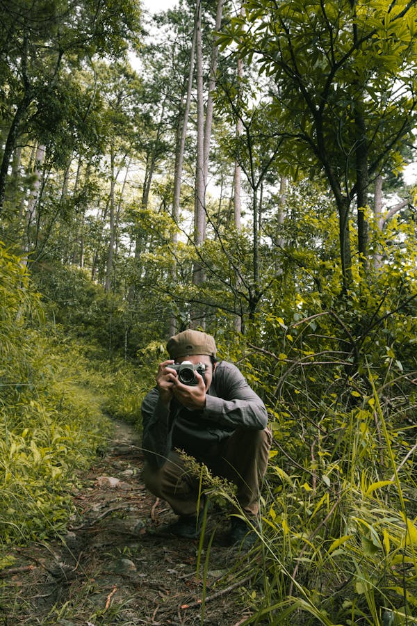 Camera Forest Photos, Download The BEST Free Camera Forest Stock Photos ...