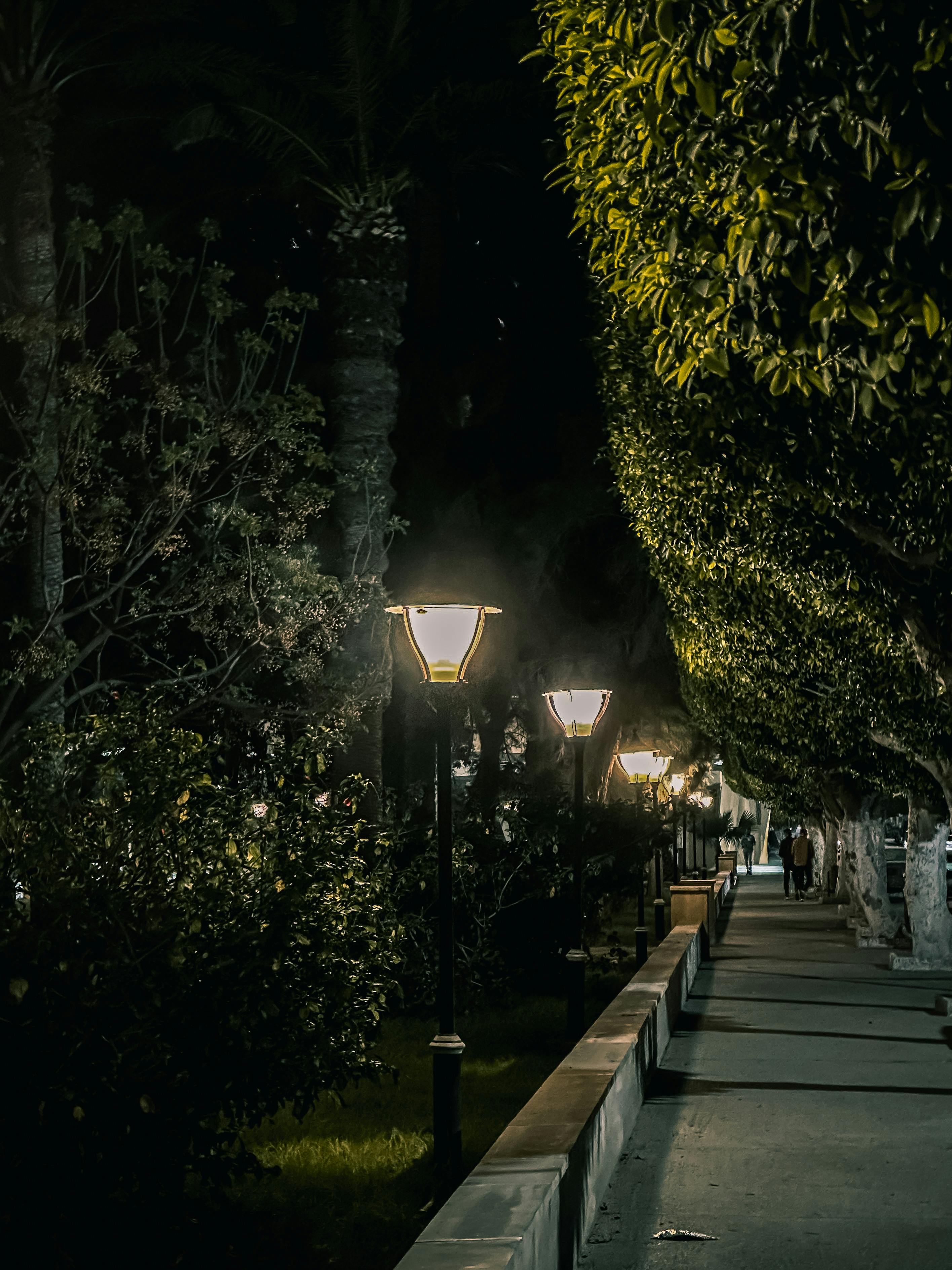 Shadow Walk Photos, Download The BEST Free Shadow Walk Stock Photos ...