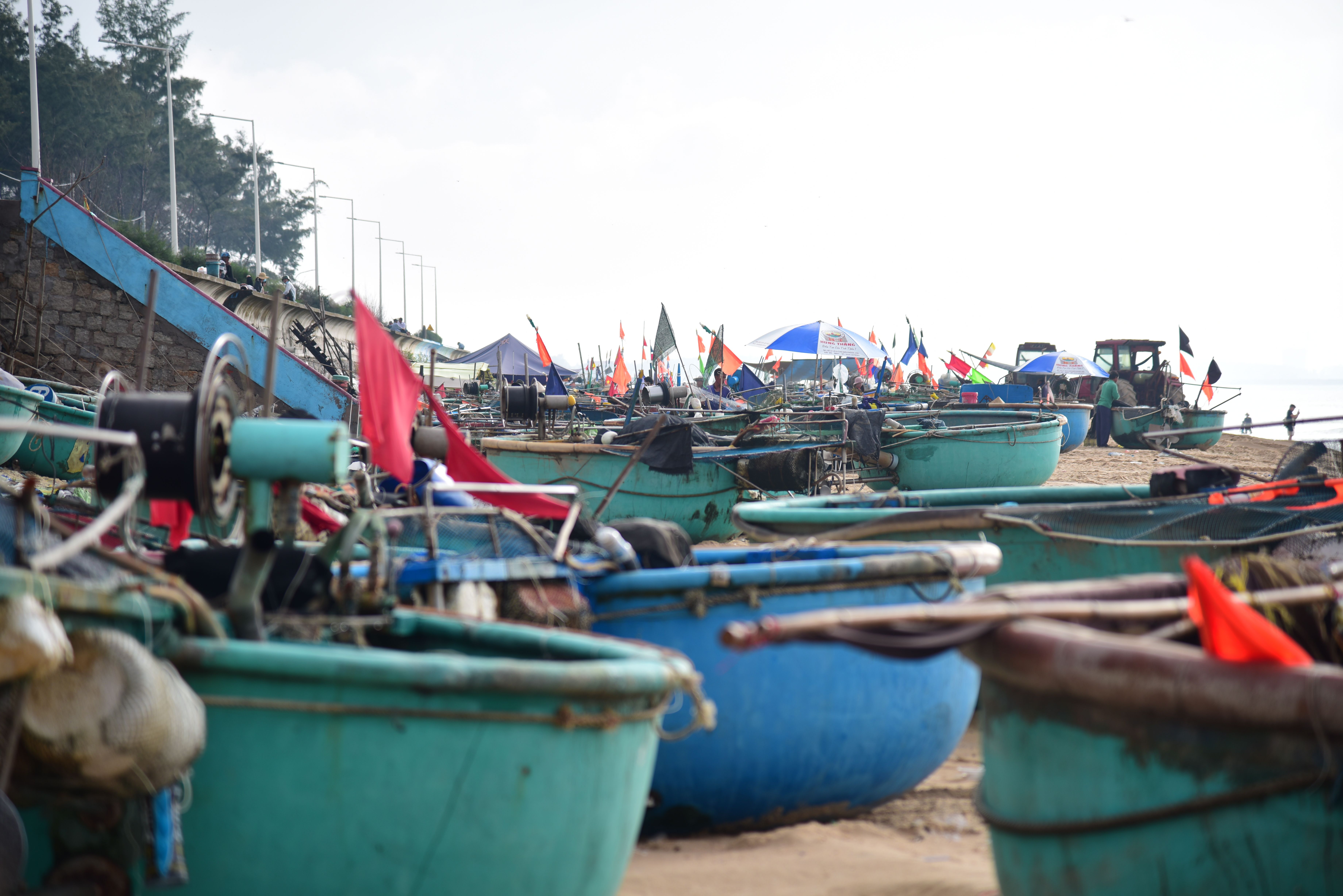 Traditional Fishing Boats on a Sandy Beach · Free Stock Photo