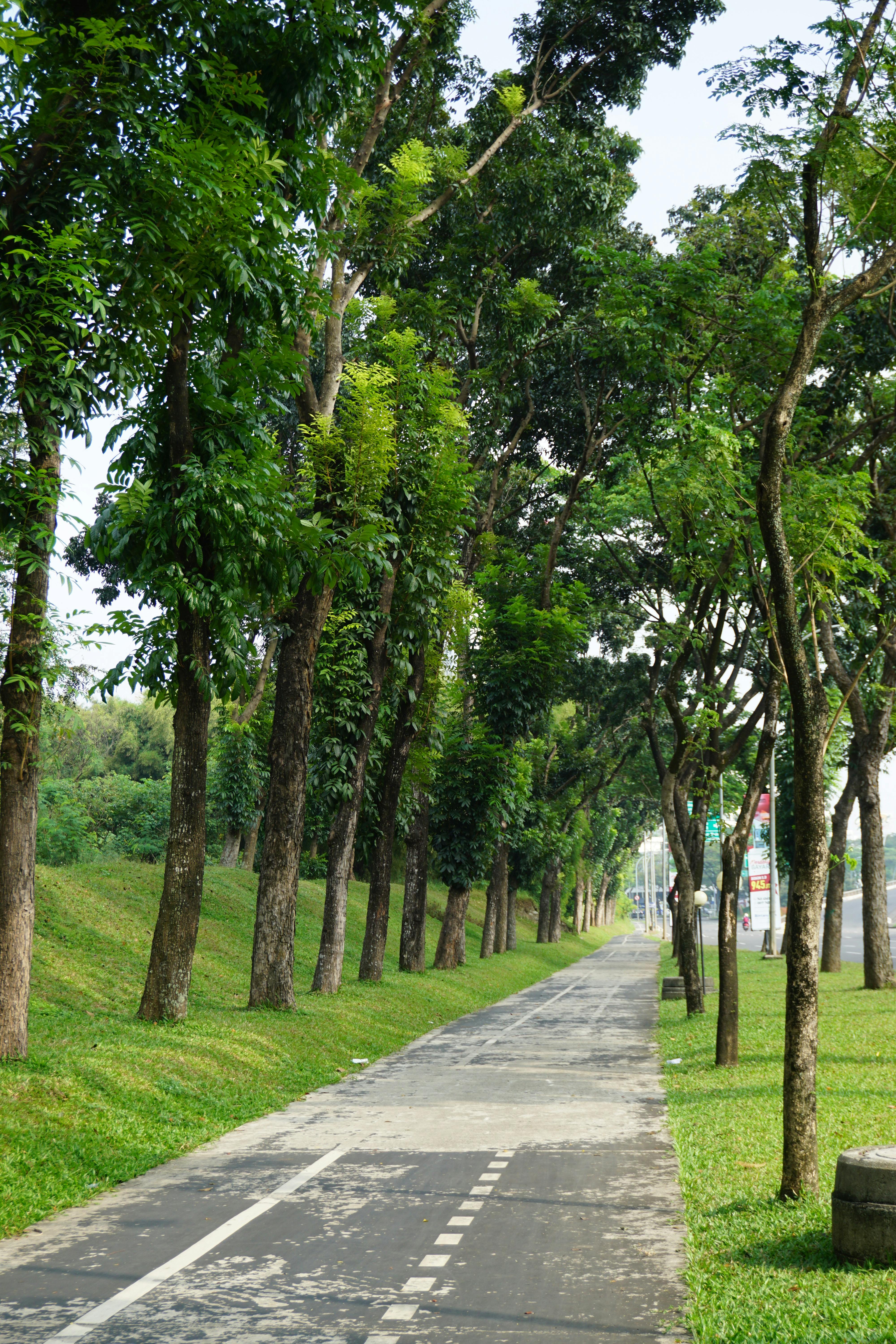 Bokep+Jalanan Photos, Download The BEST Free Bokep+Jalanan Stock Photos & HD Images