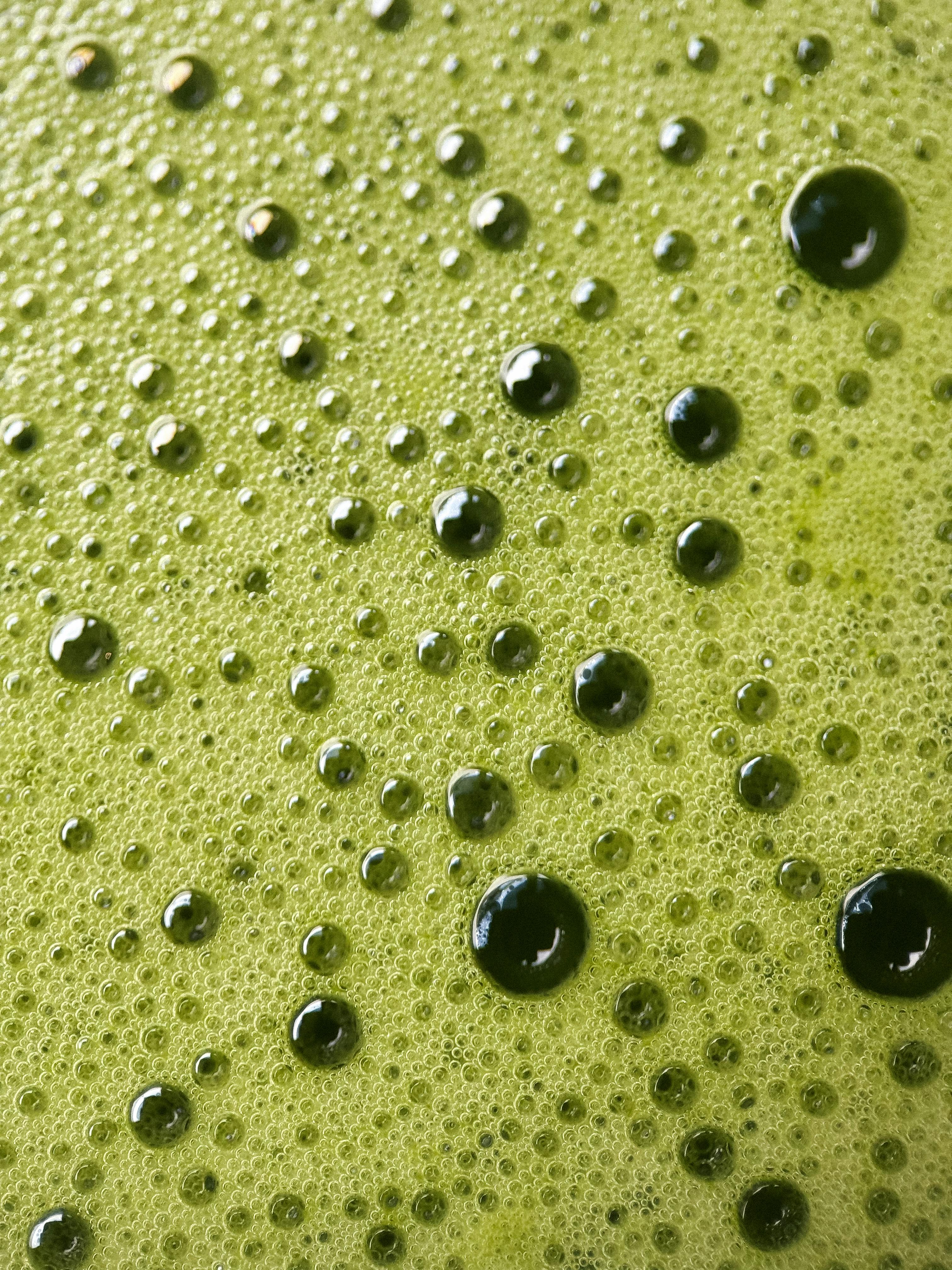 Close-up of Frothy Green Matcha Tea Surface · Free Stock Photo