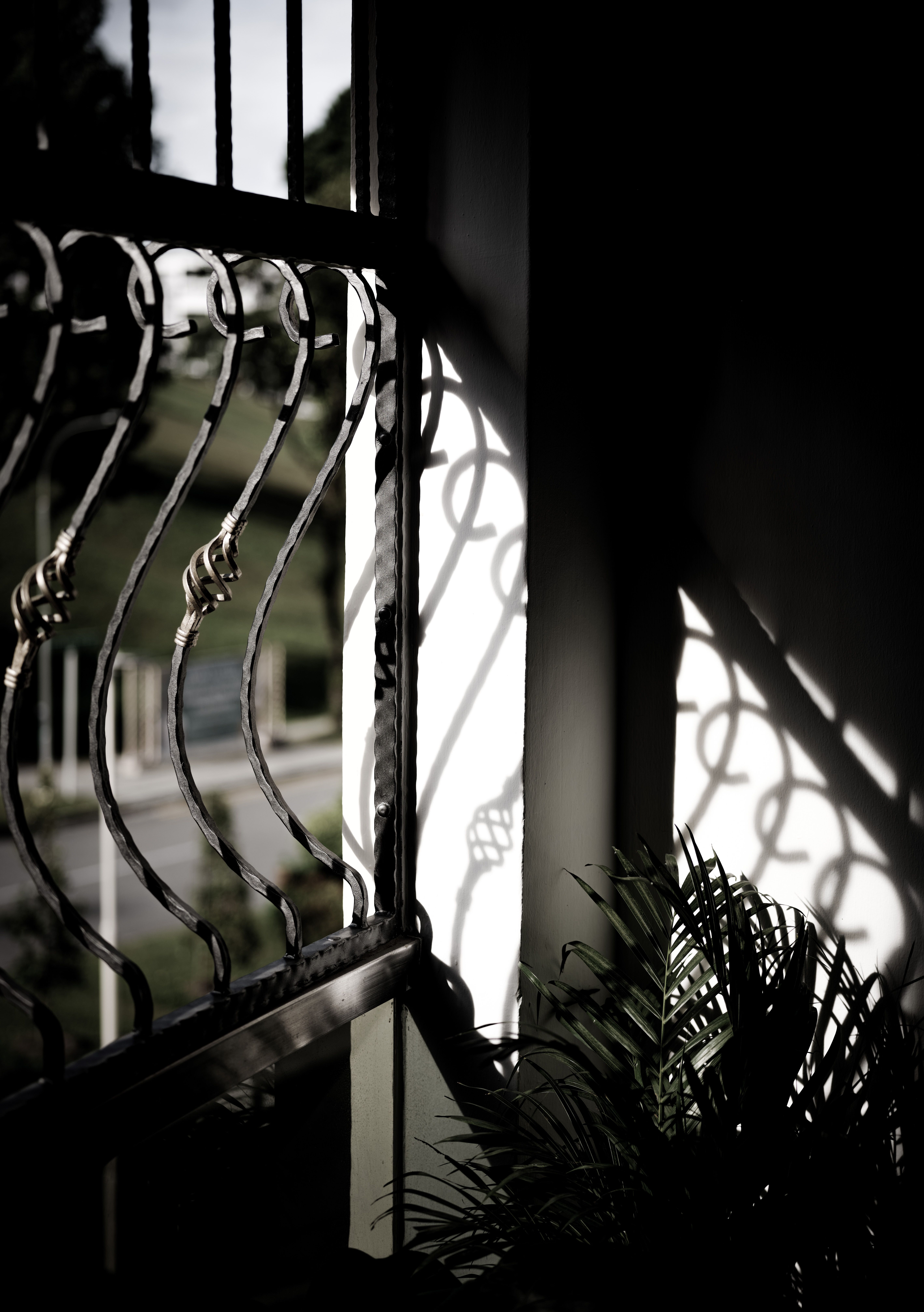 Artistic Shadow Patterns on Window Grille · Free Stock Photo
