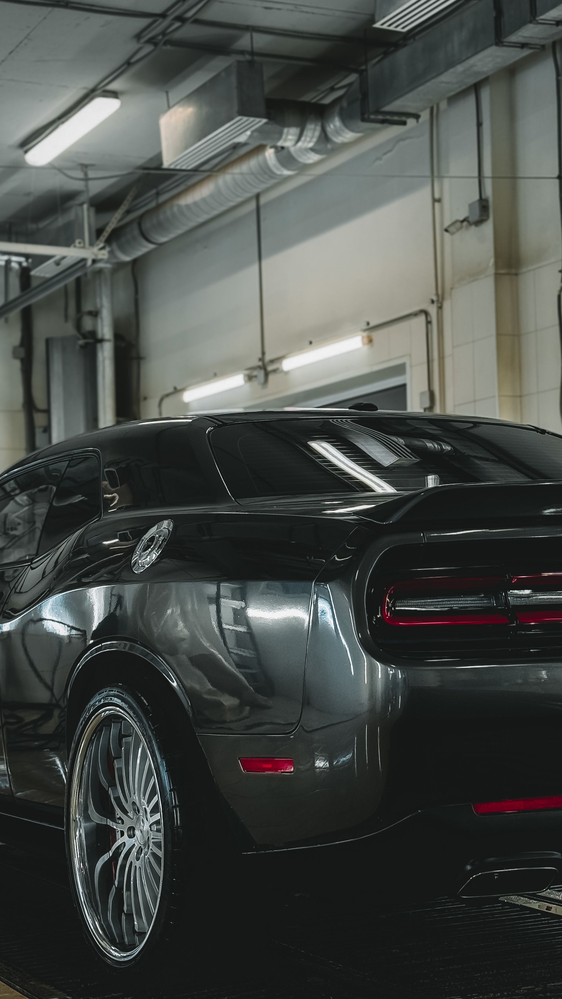 Back View of a Black Audi Car · Free Stock Photo