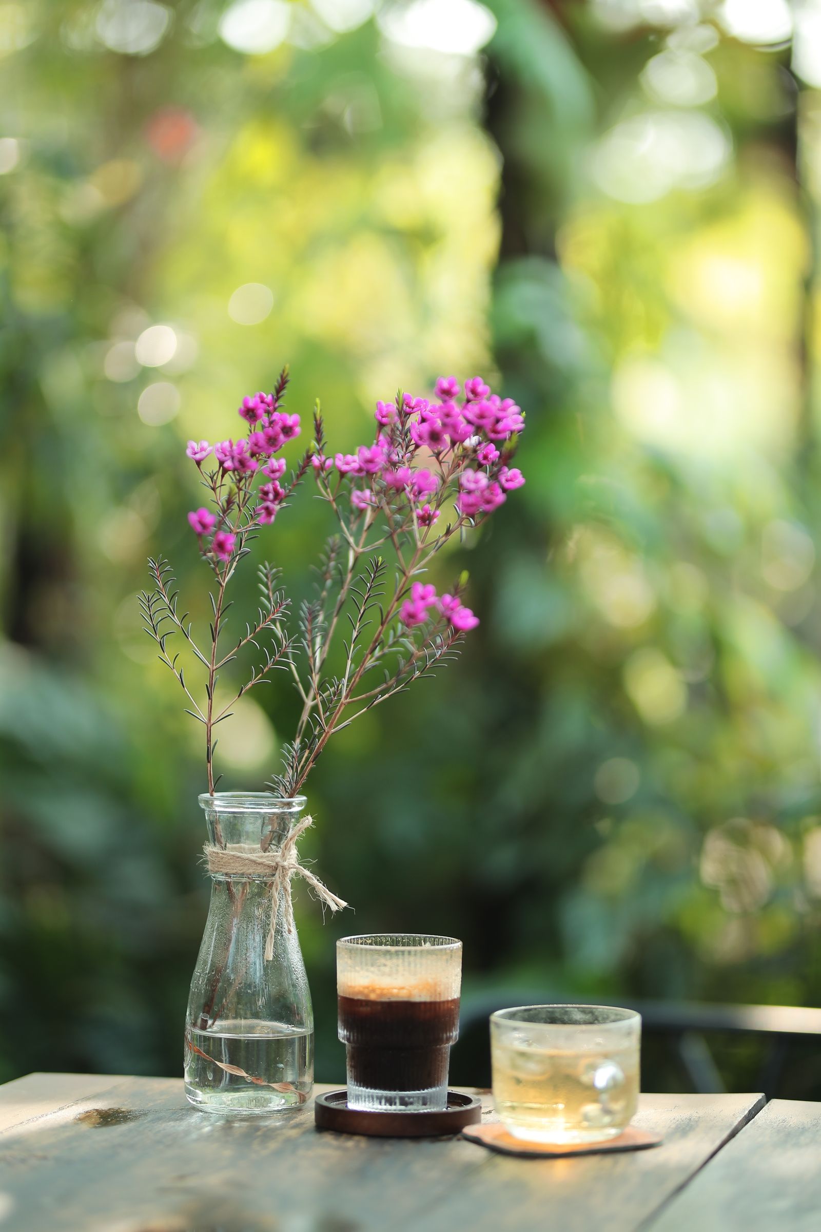 Nature Flowers Photos, Download The BEST Free Nature Flowers Stock ...