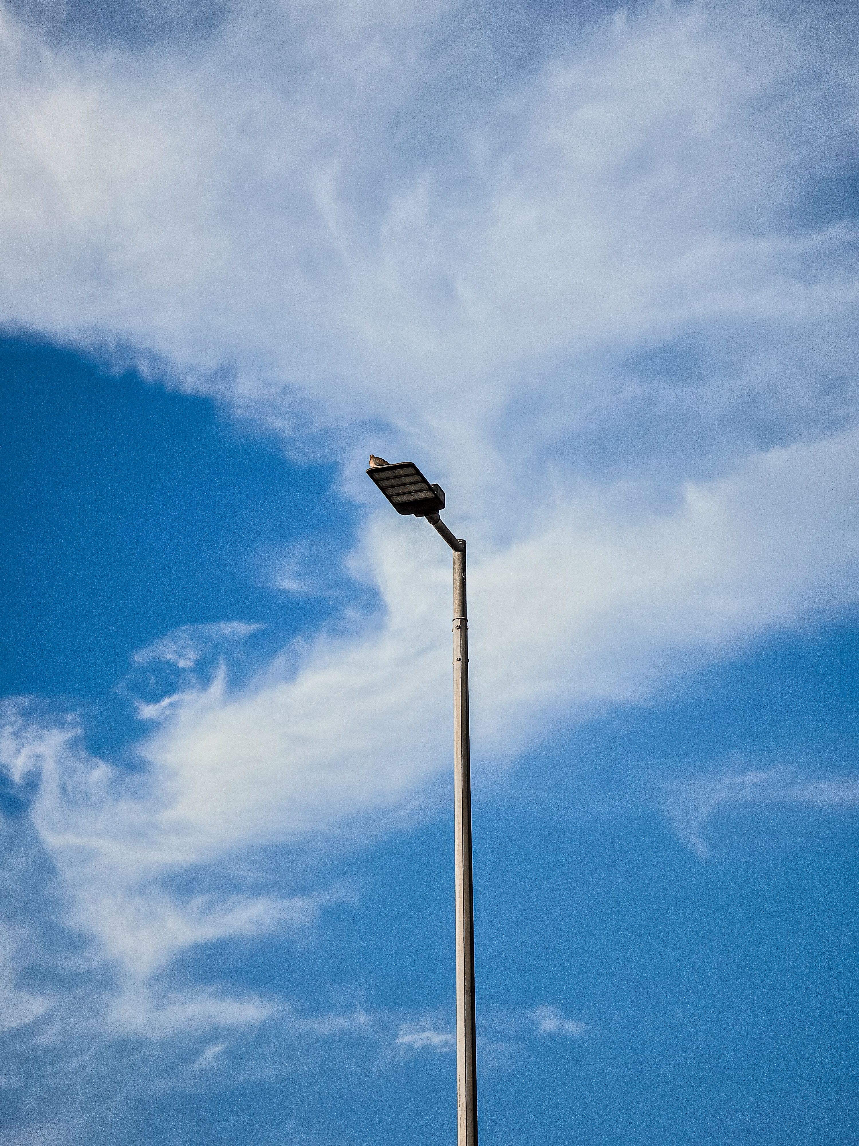 Lonely Street Lamp Against a Vibrant Blue Sky · Free Stock Photo