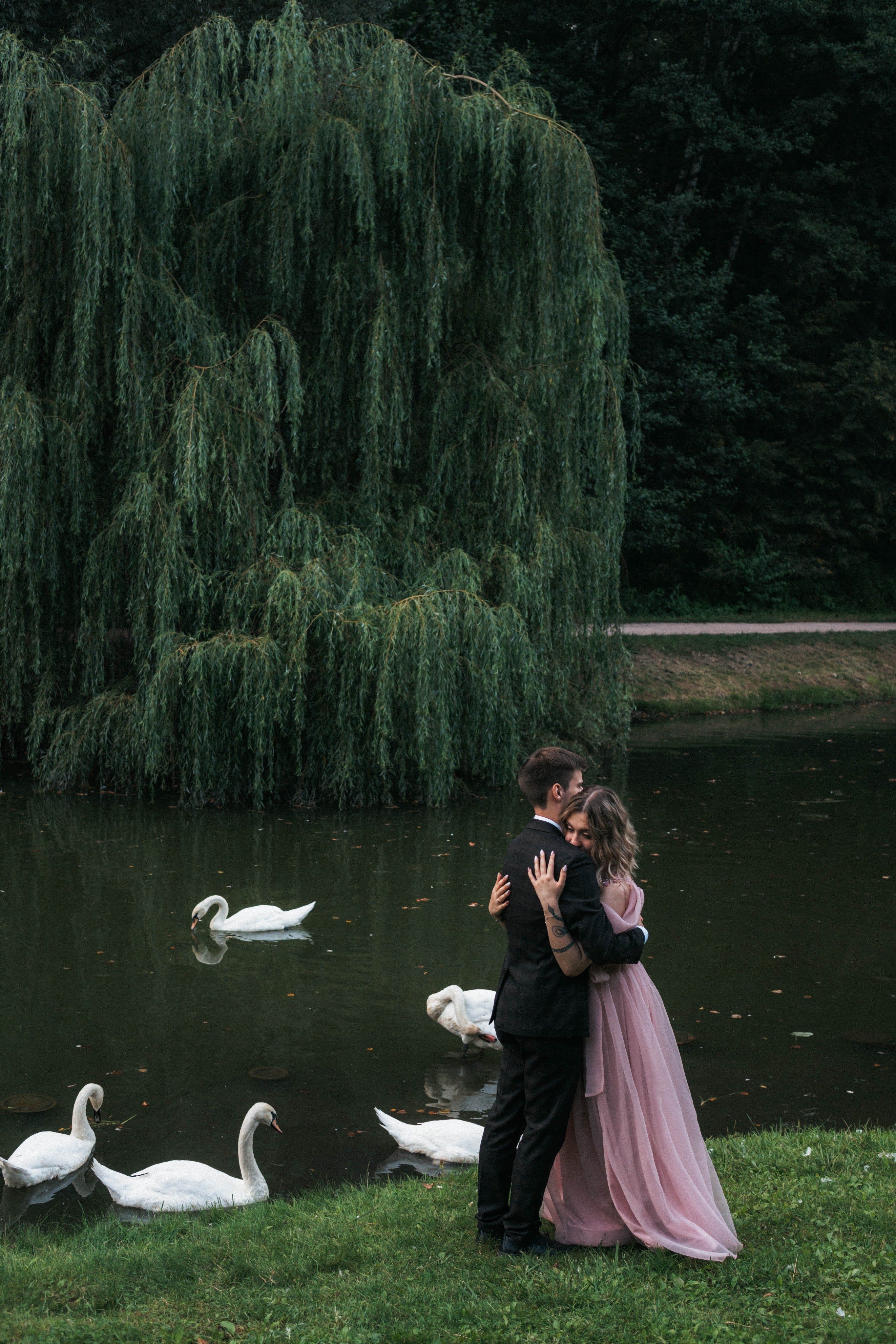 Foto de stock gratuita sobre abrazar, afecto, agua, al aire libre, amor ...