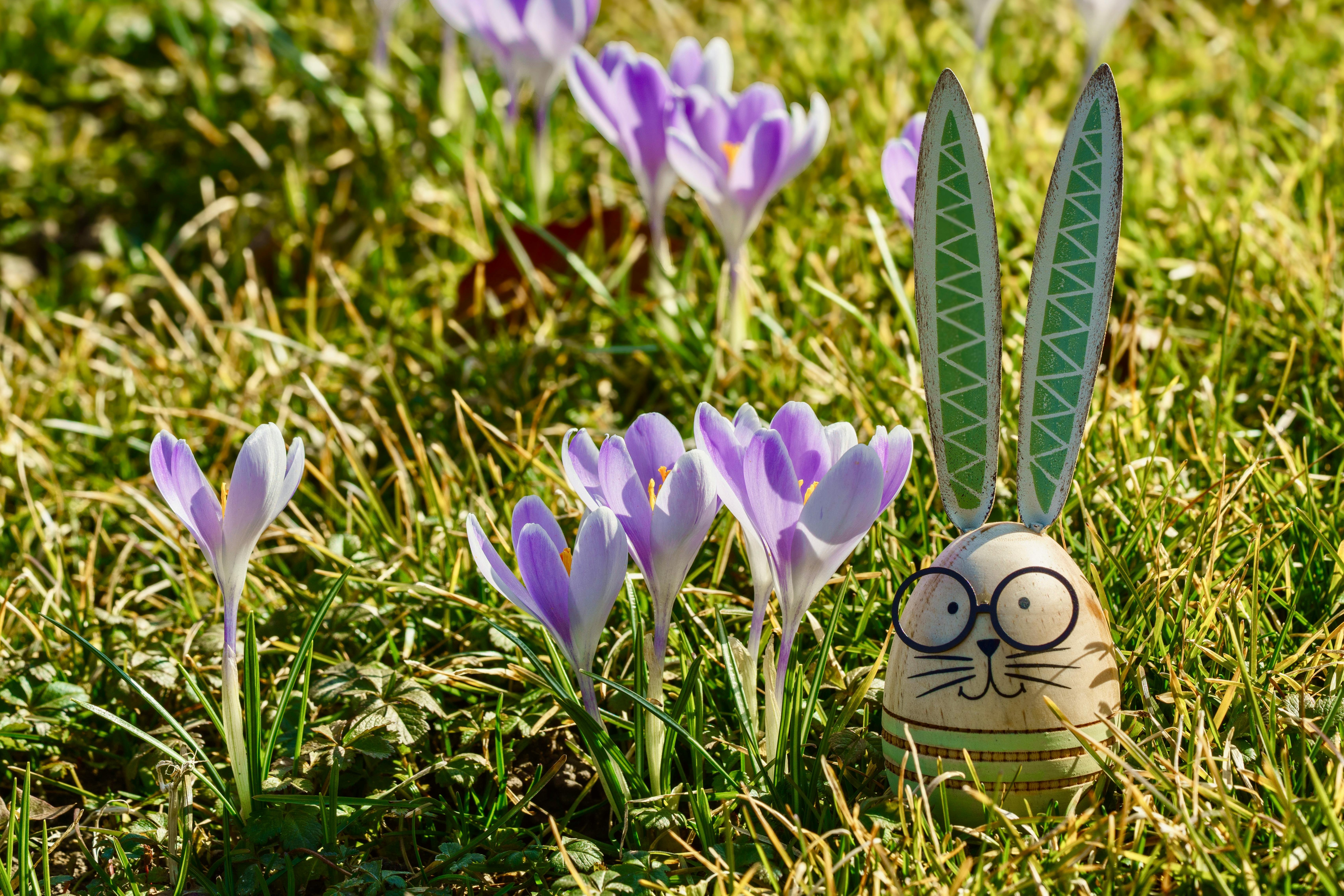 Craft Handmade Photos, Download The BEST Free Craft Handmade Stock ...