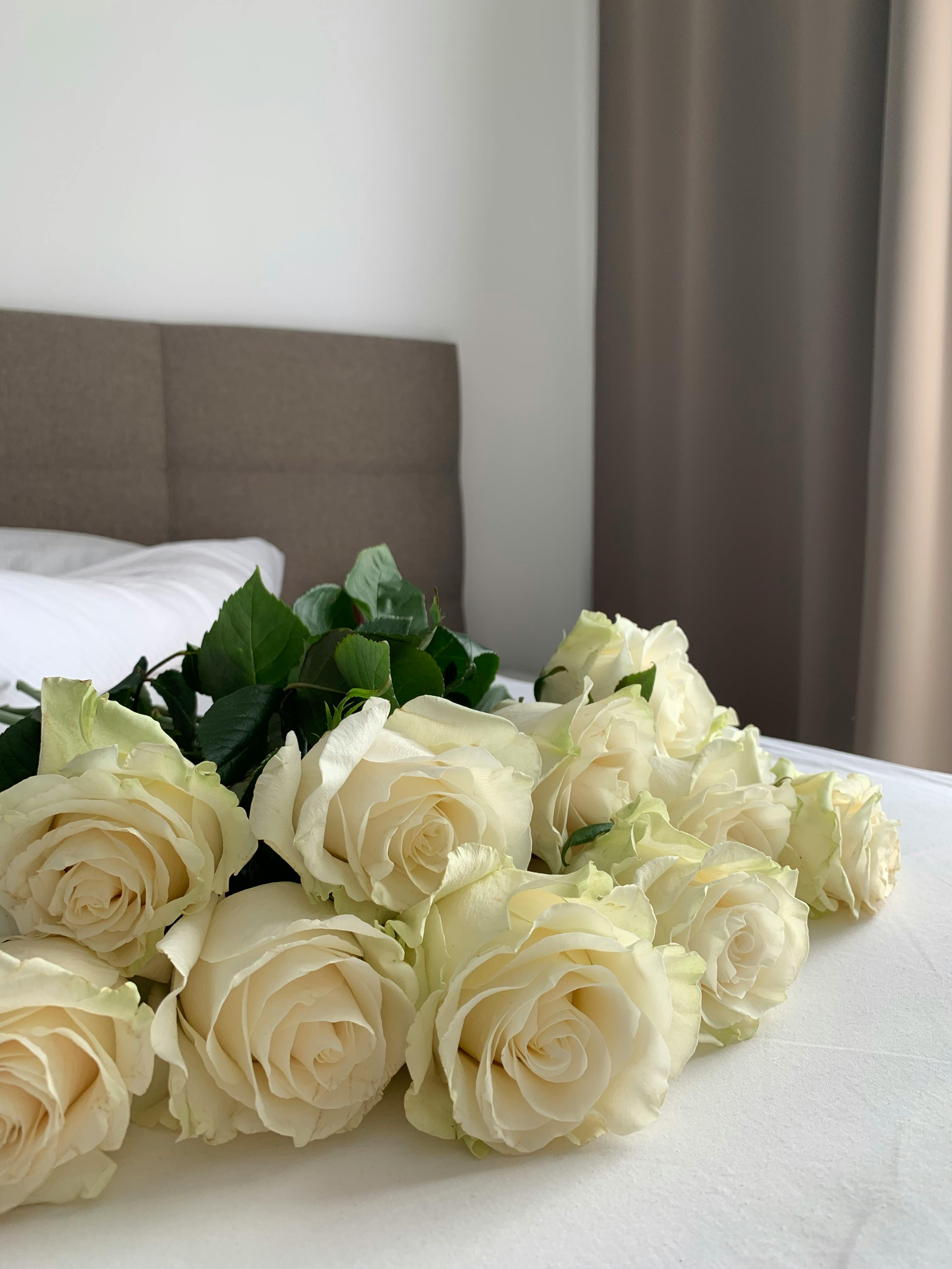 Roses On Bed Photos, Download The BEST Free Roses On Bed Stock Photos ...