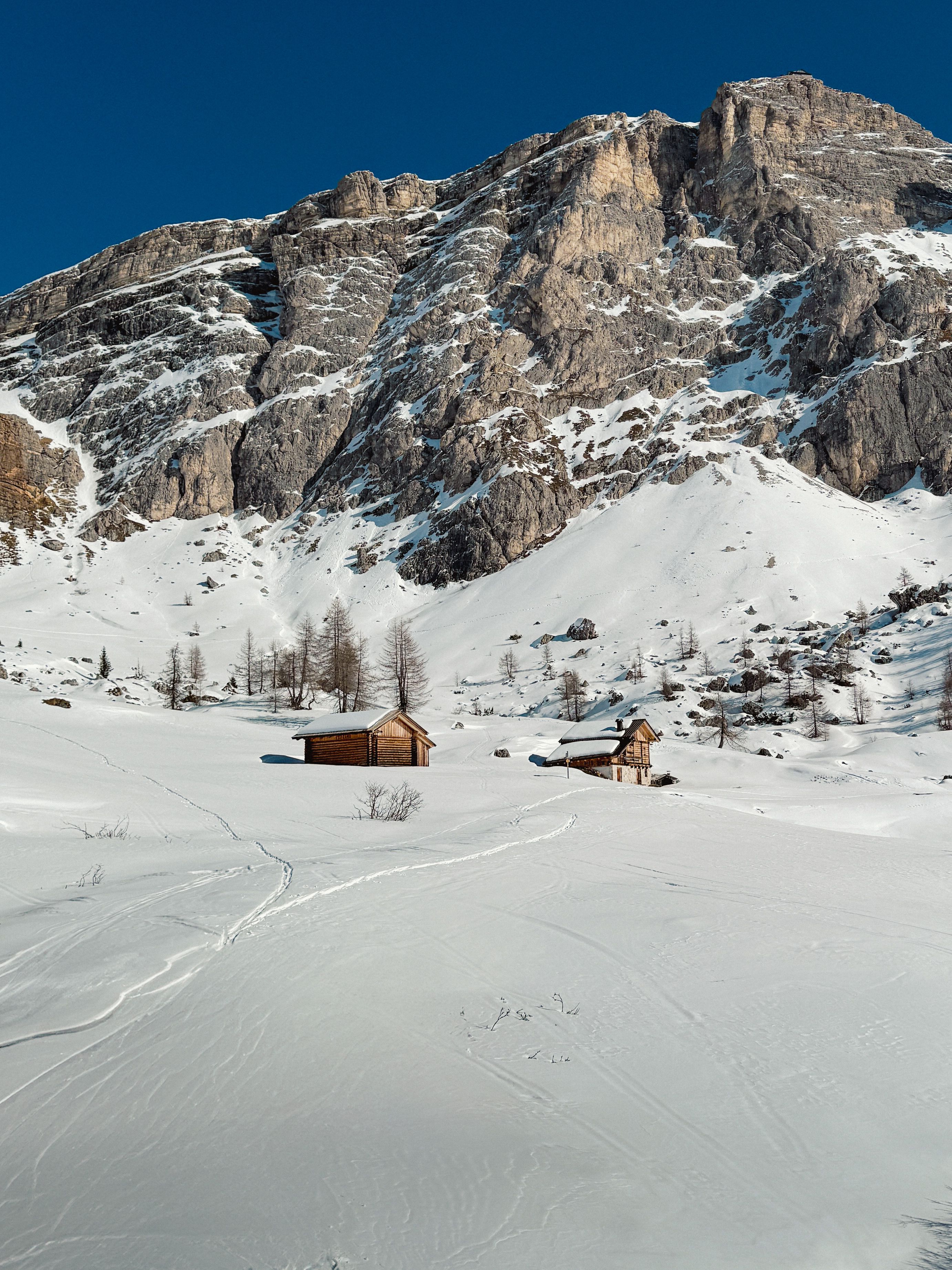 Serene Snow-Covered Peaks in Veneto, Italy · Free Stock Photo