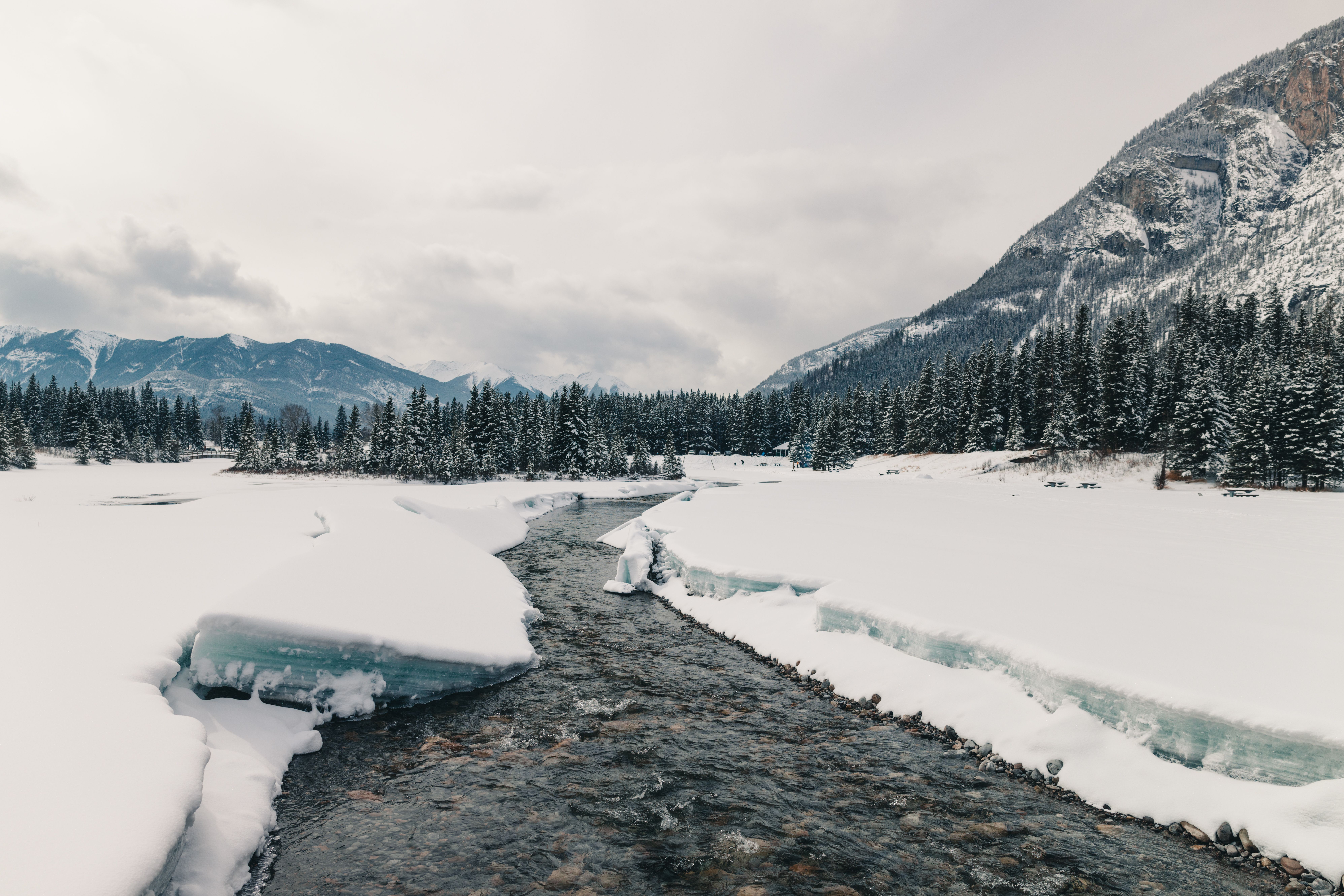Stunning Winter Landscape in Alberta, Canada · Free Stock Photo