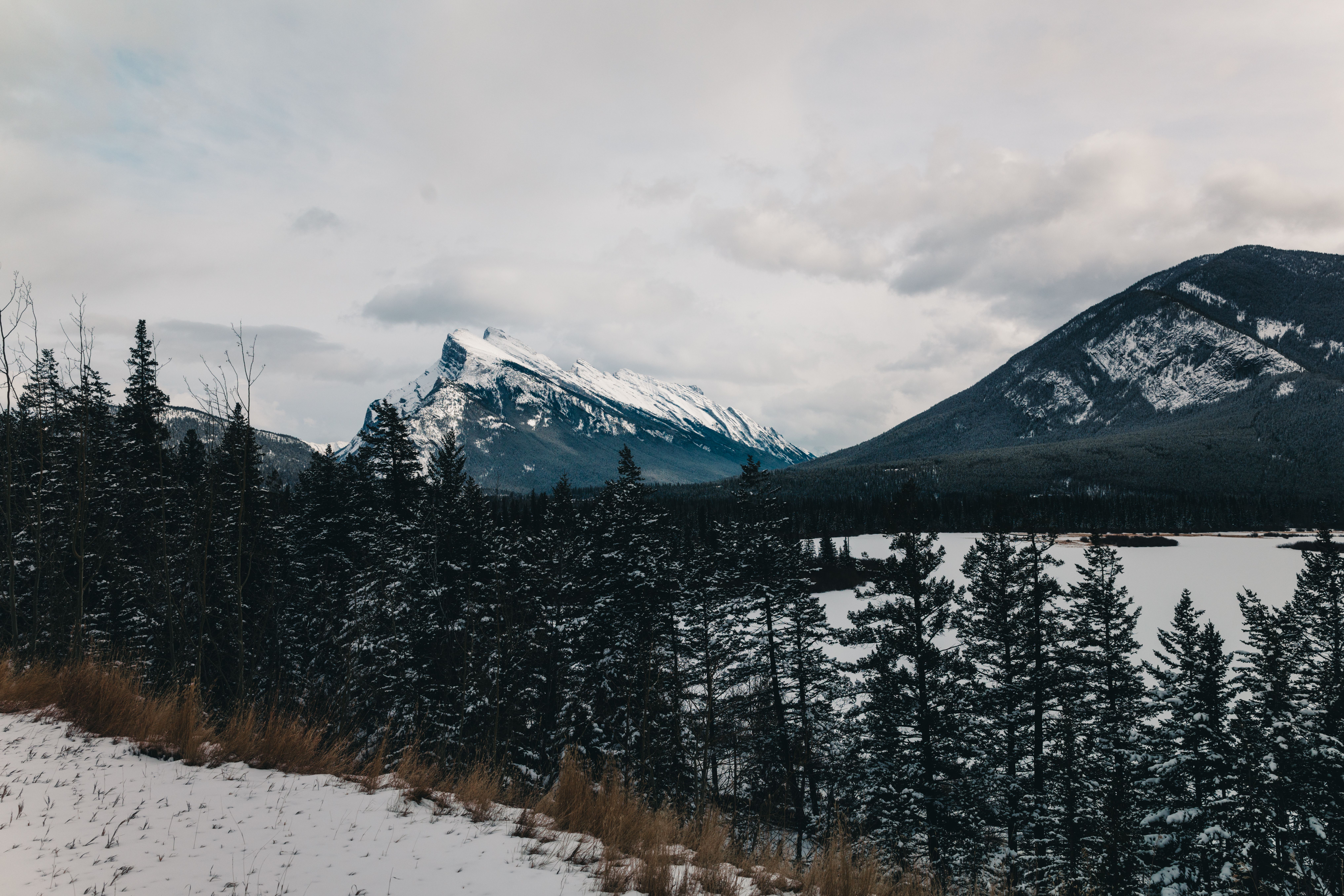 Winter Scene in the Canadian Rockies · Free Stock Photo