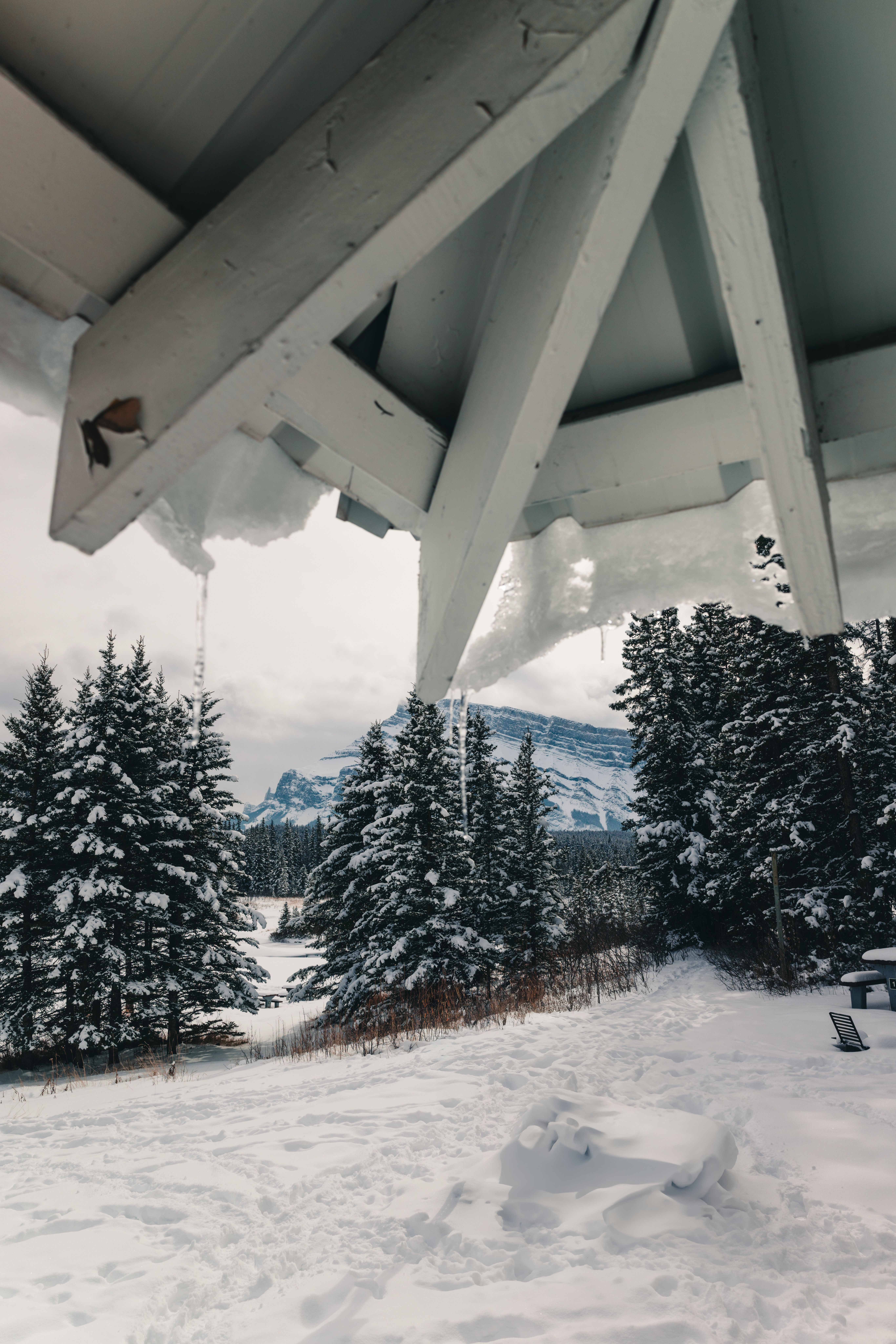 Snowy Canadian Rockies Winter Landscape · Free Stock Photo