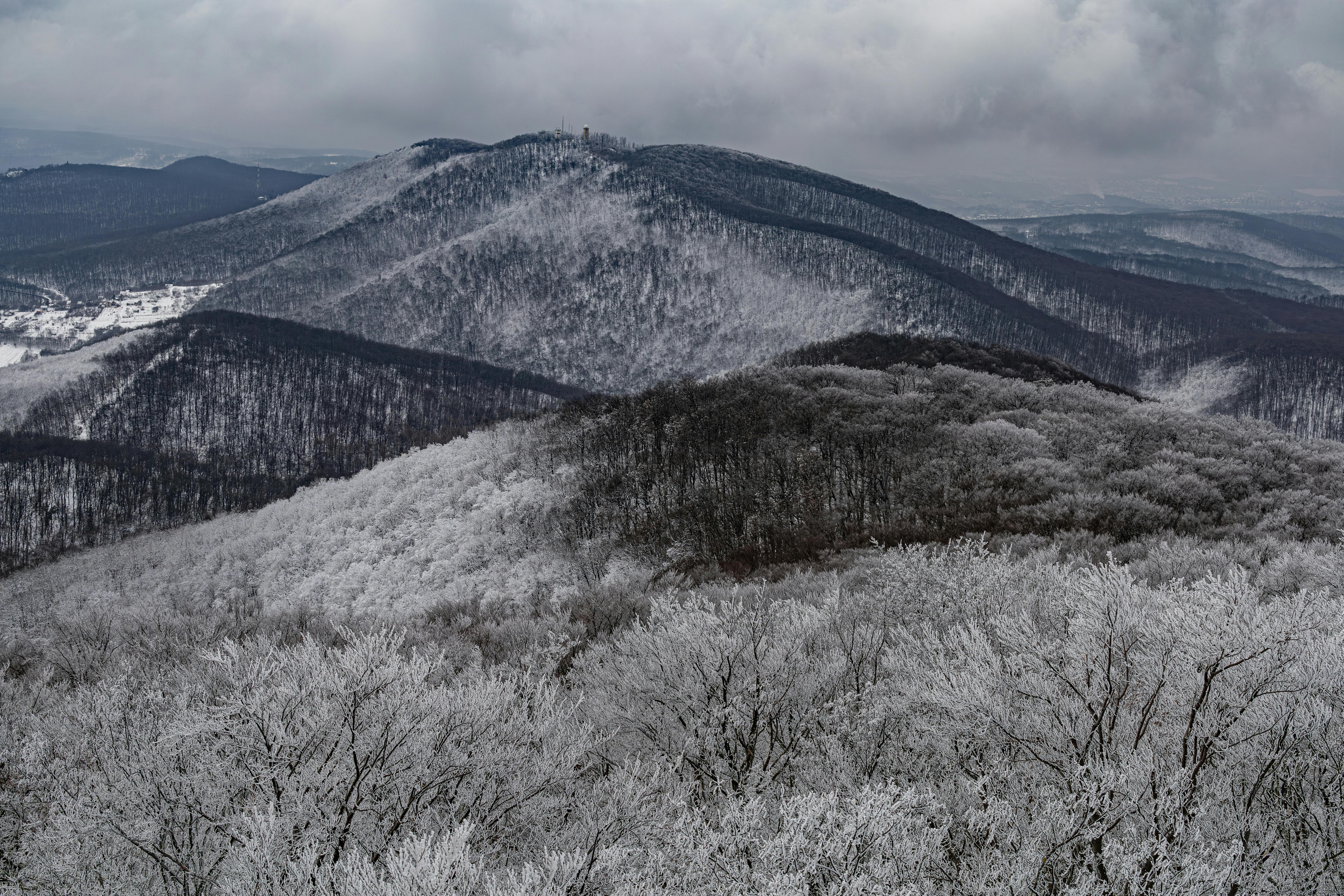 Pec+Calidad Photos, Download The BEST Free Pec+Calidad Stock Photos ...