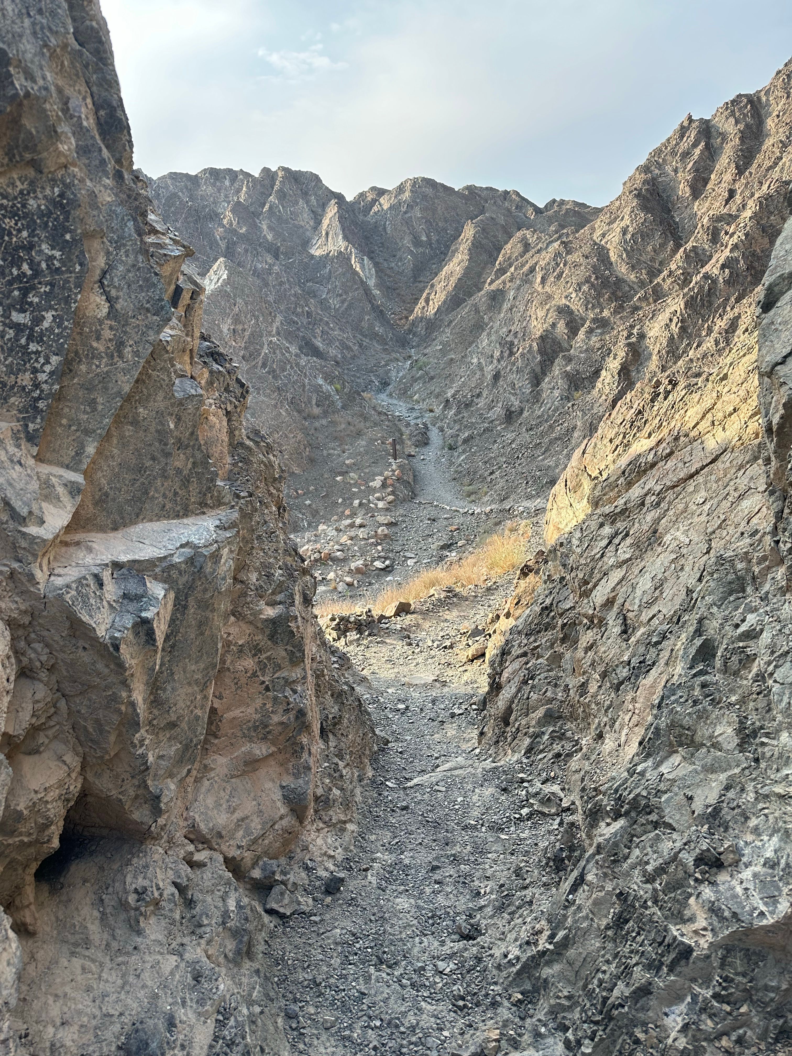Stunning Rocky Mountain Pathway in Bright Light · Free Stock Photo