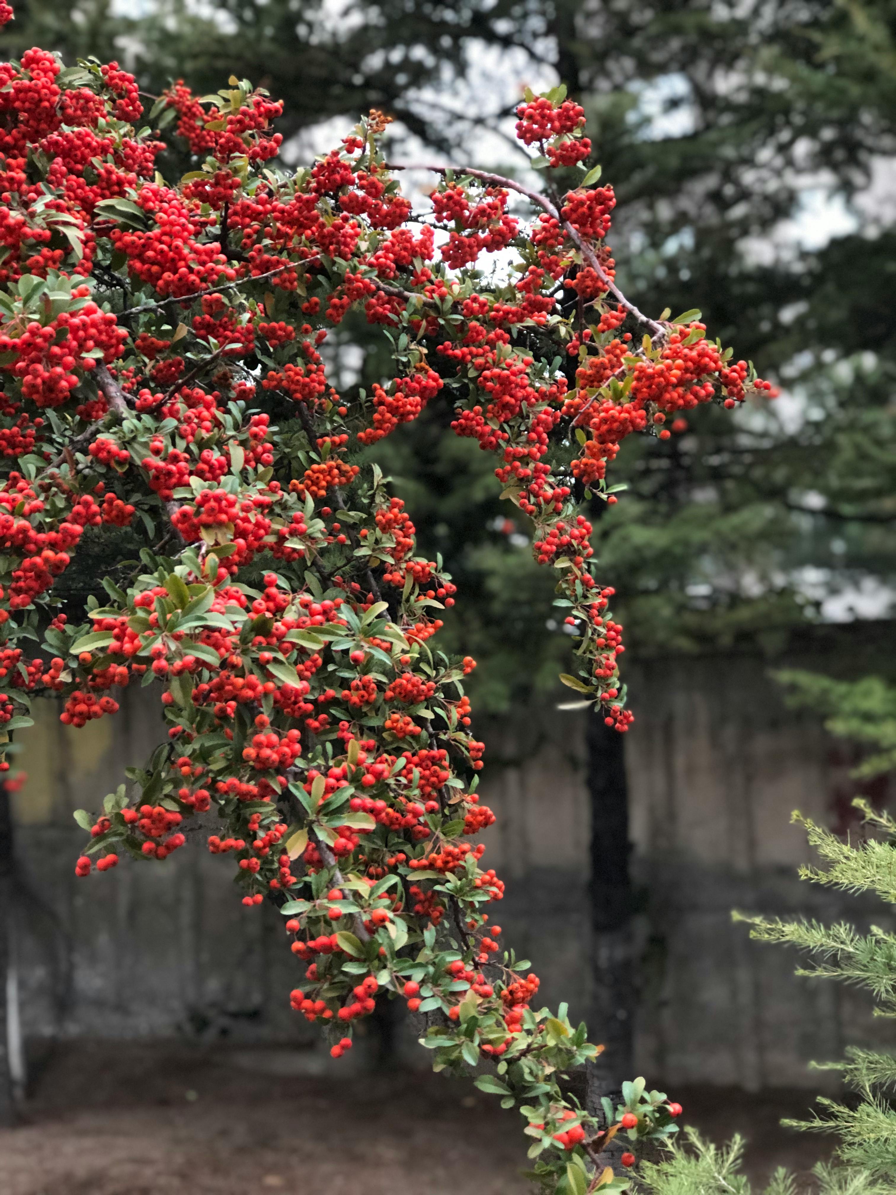 Trainz Simulator 12 Series Photos, Download The BEST Free Trainz ...