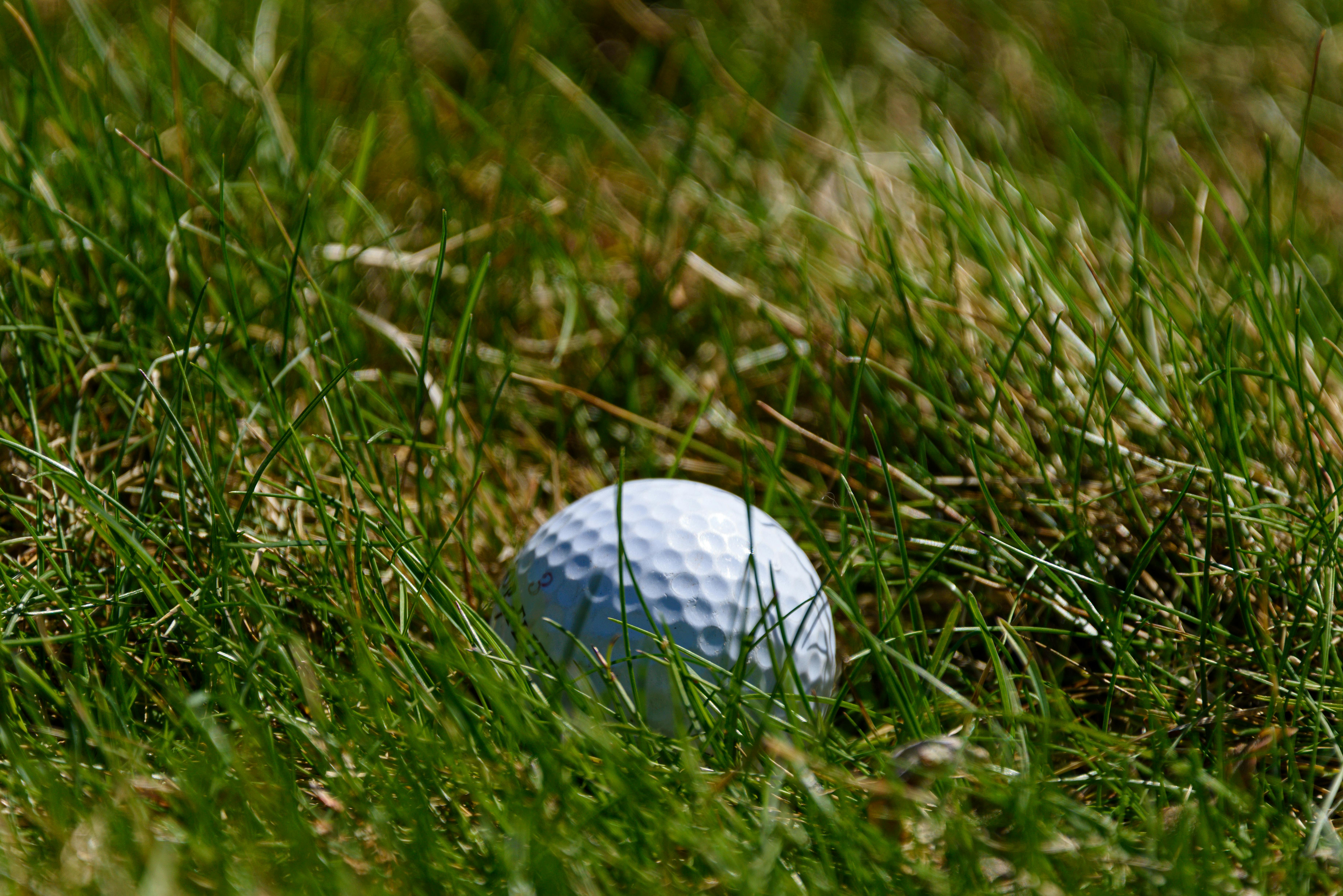 Golf Texture Photos, Download The BEST Free Golf Texture Stock Photos ...