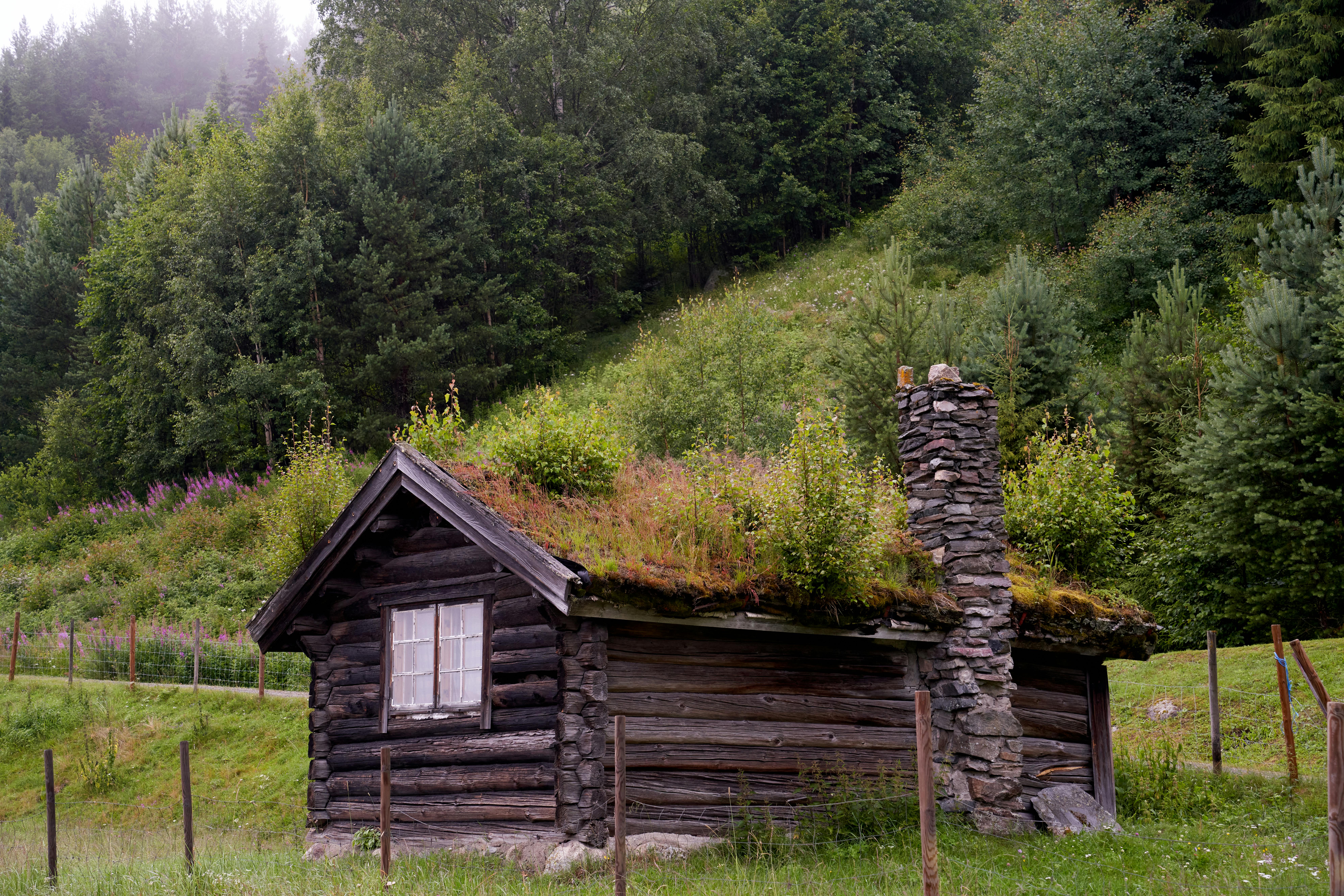 Rustic Log Cabin in Nesbyen, Norway · Free Stock Photo
