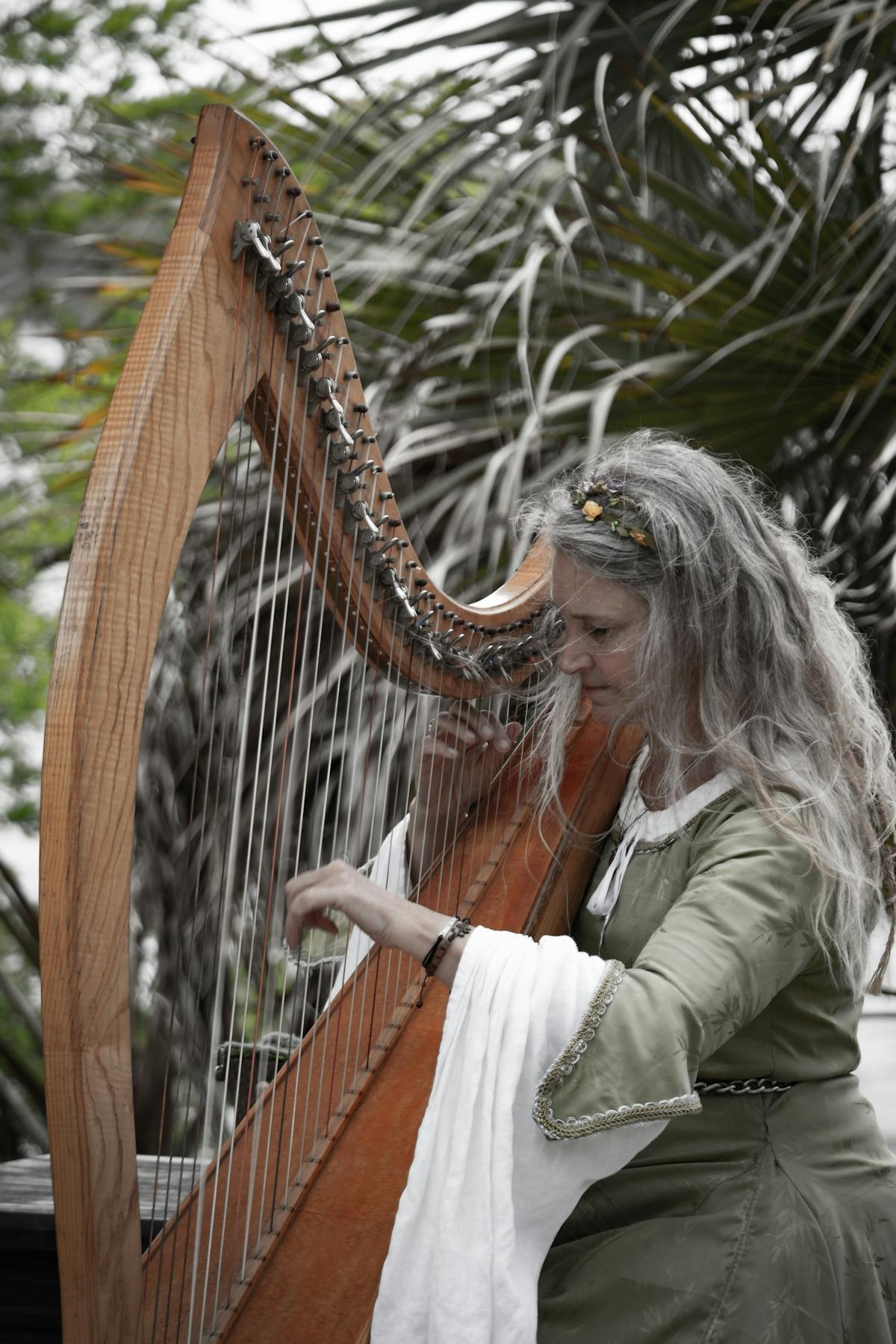 Harp Photos, Download The BEST Free Harp Stock Photos & HD Images