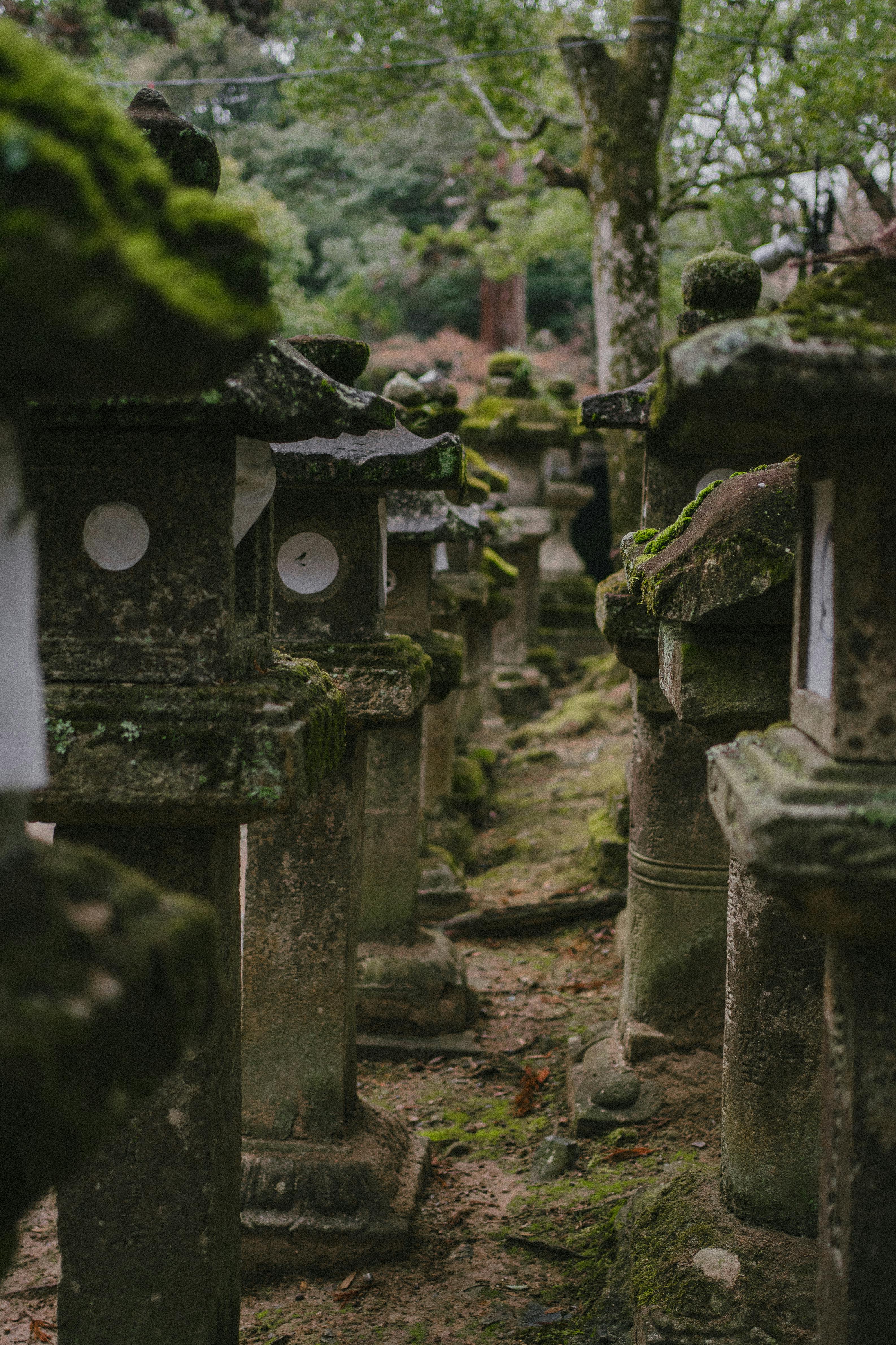 Ancient Stone Lanterns in Mossy Japanese Pathway · Free Stock Photo