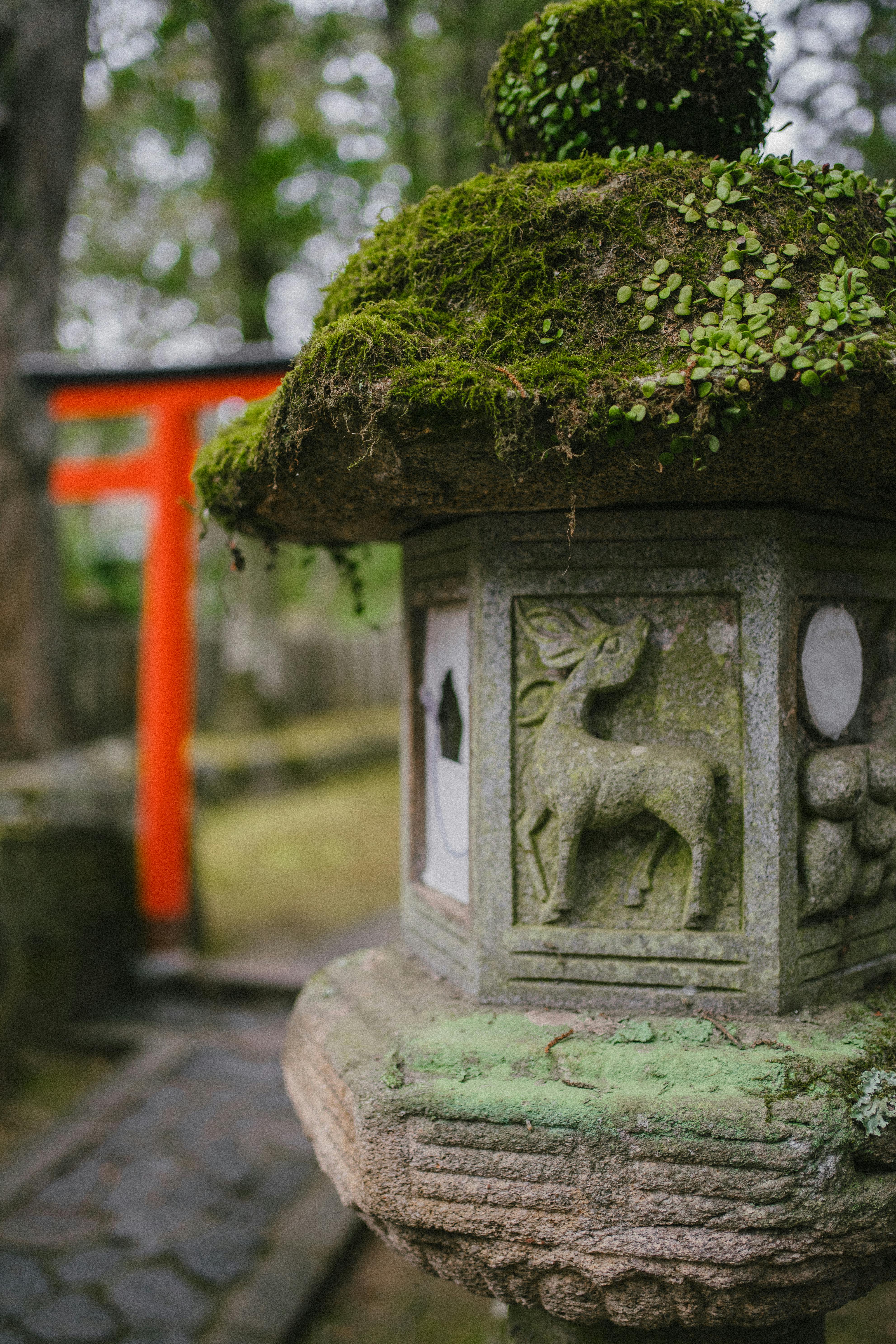 Moss-Covered Stone Lantern in Japanese Garden · Free Stock Photo
