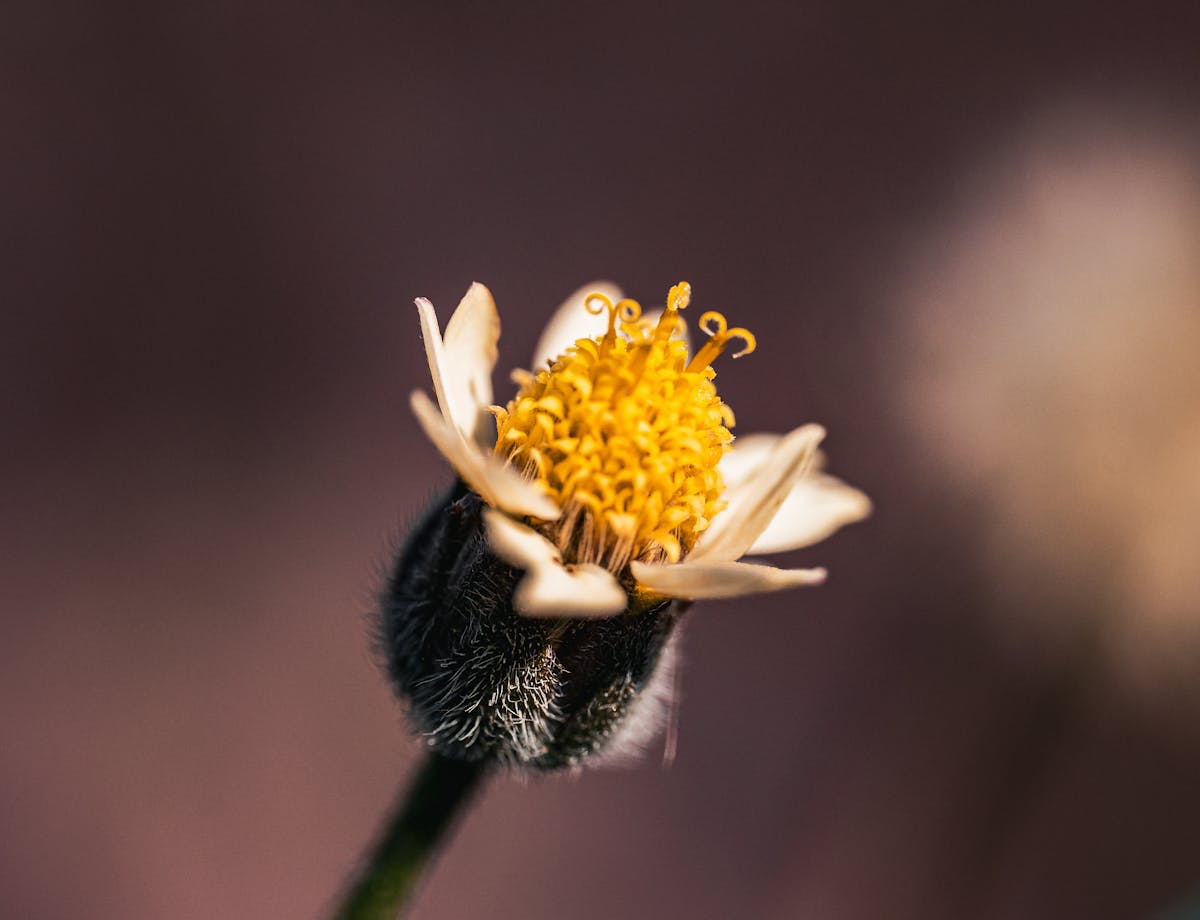 Free Download Jpg Images Photos, Download The BEST Free Free Download ...