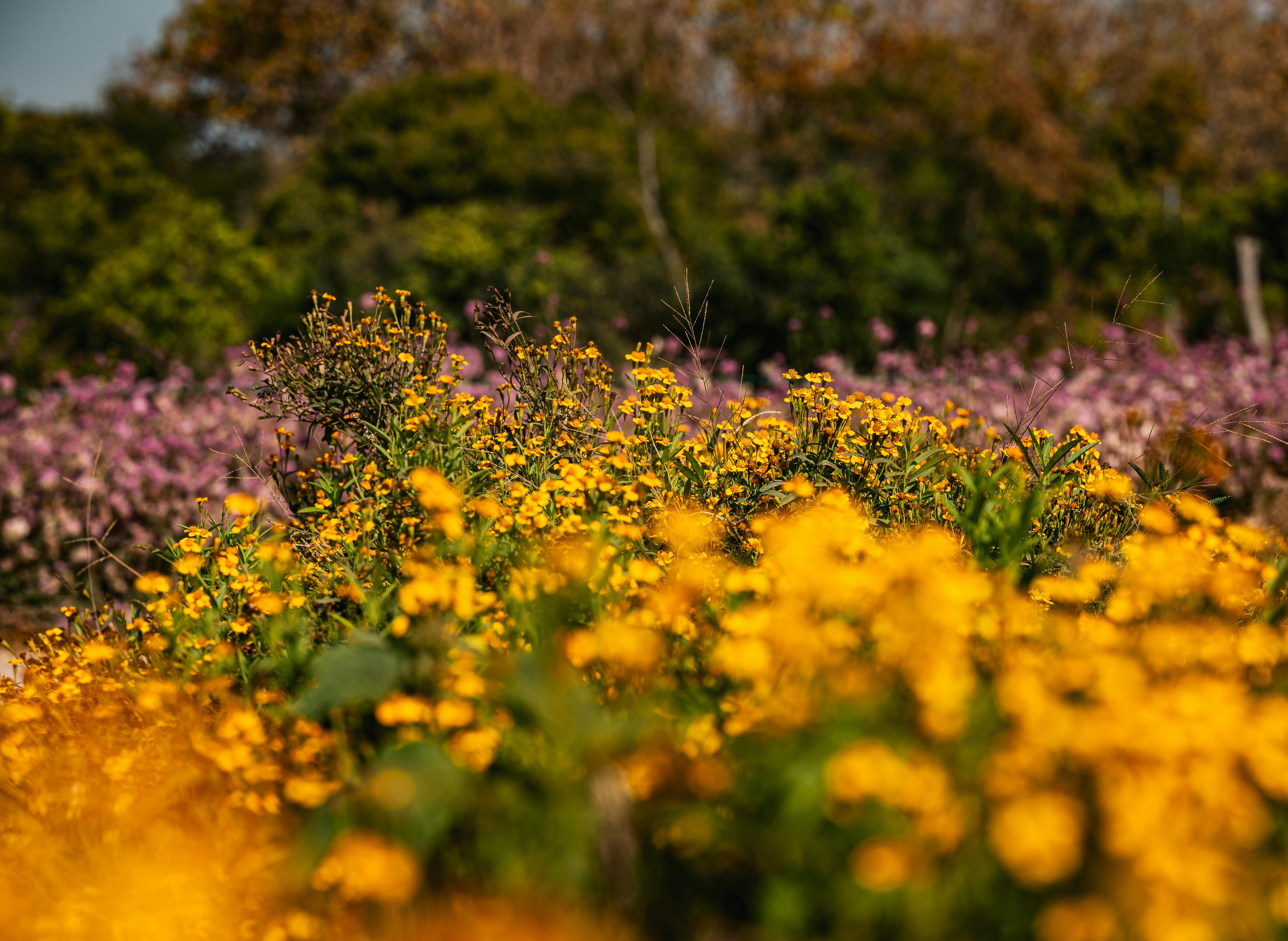 300 Dpi Images Photos, Download The BEST Free 300 Dpi Images Stock ...