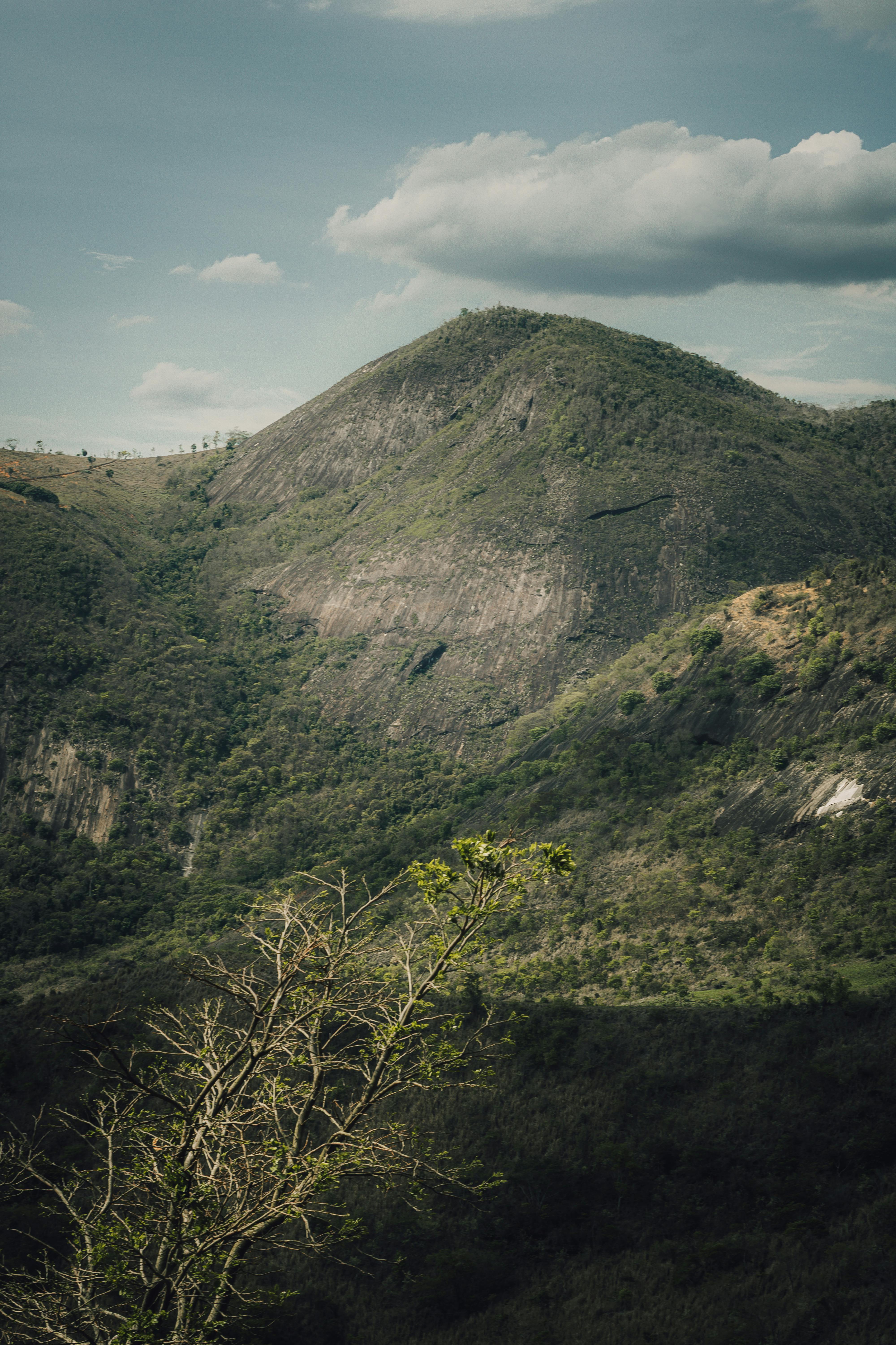 5+ Fotos y Imágenes de Panc ไฟล์ Gratis · Banco de Fotos Gratis