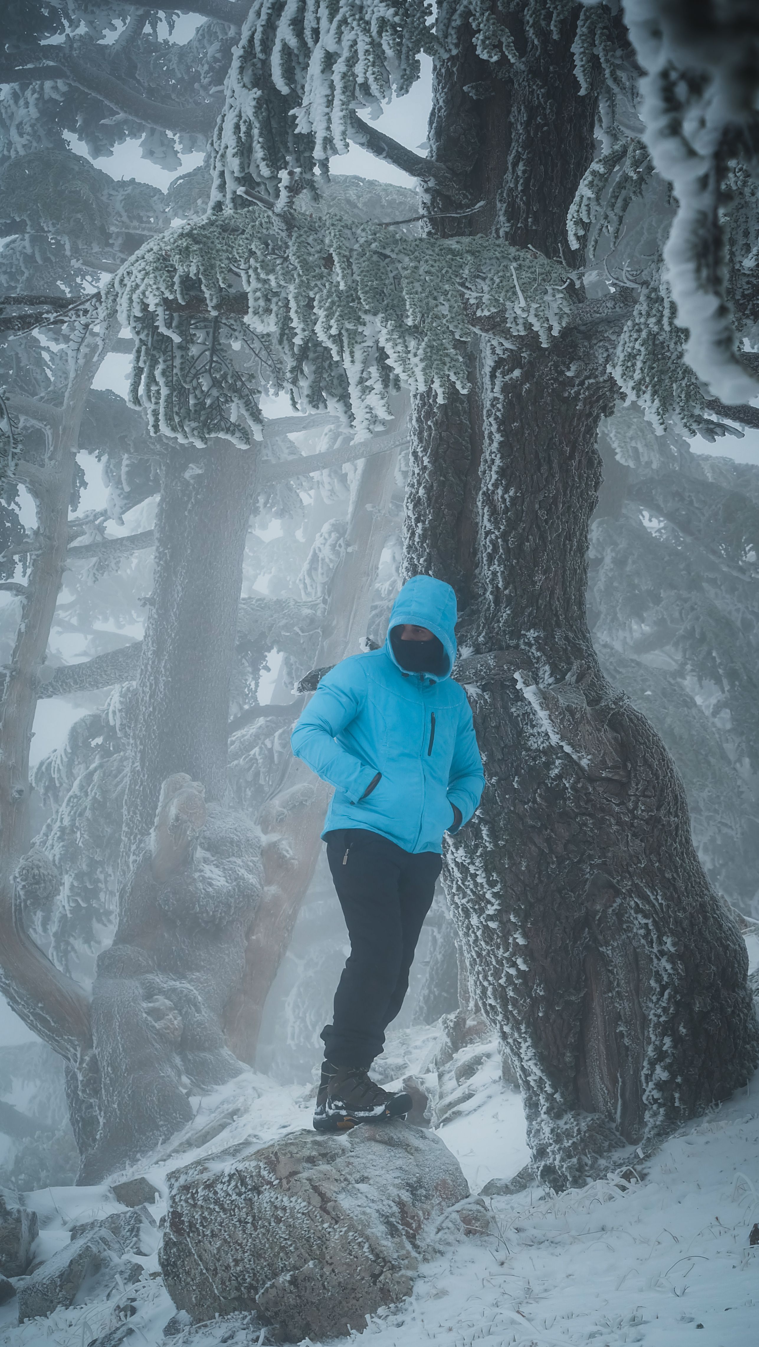 Algerian Winter Photos, Download The BEST Free Algerian Winter Stock ...