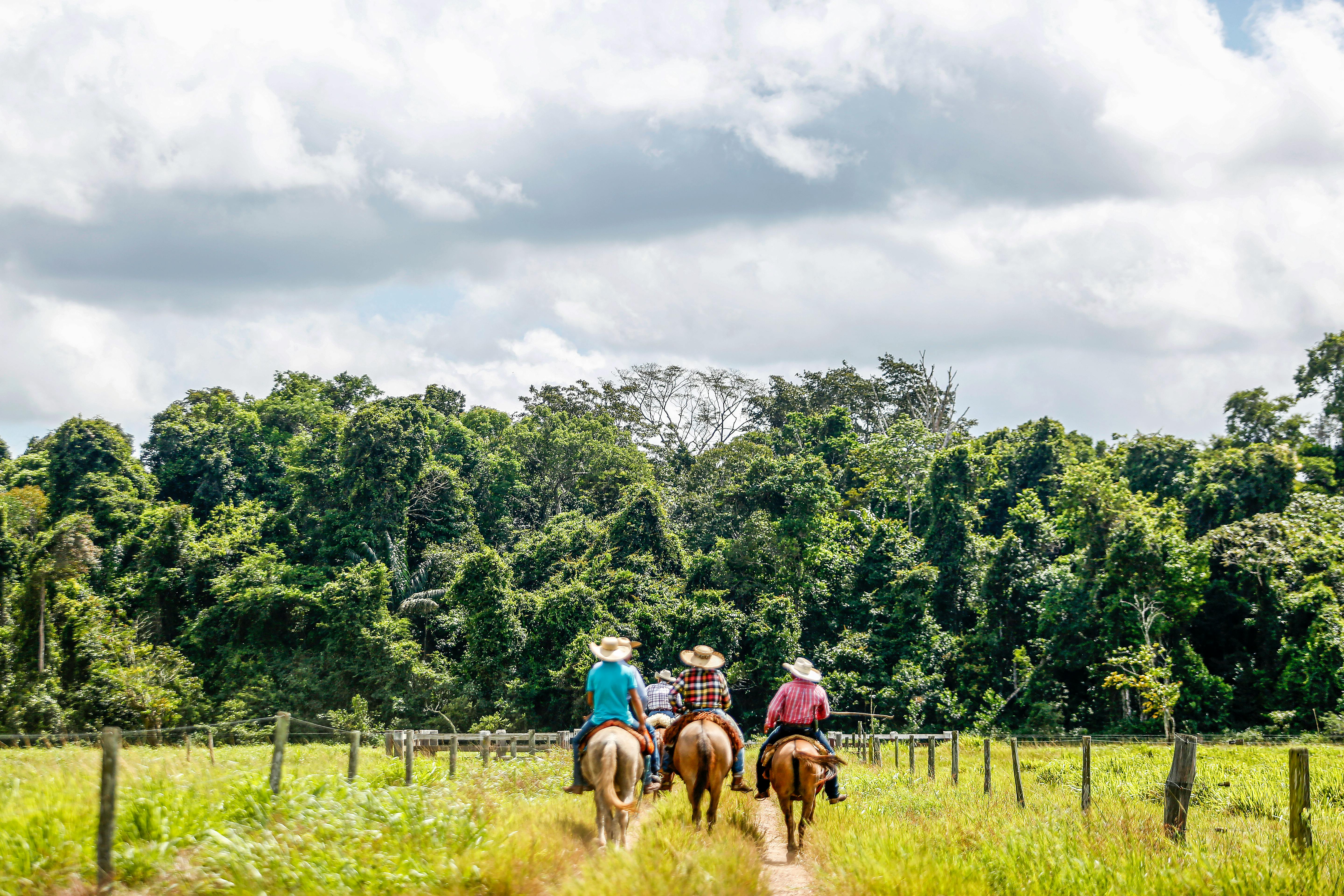 Horseback Riders in Lush Brazilian Countryside · Free Stock Photo