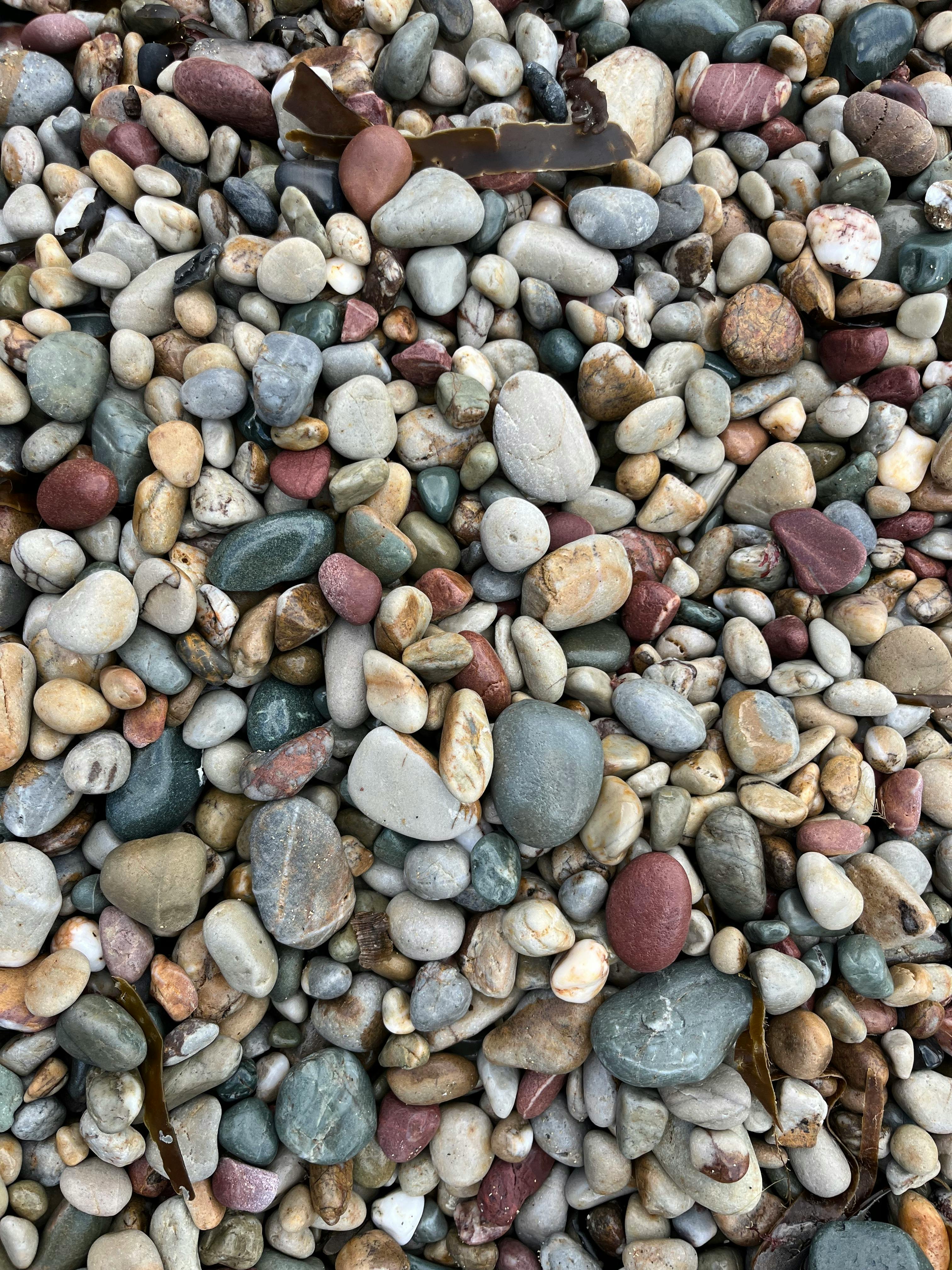Colorful Pebble Beach in Ireland · Free Stock Photo
