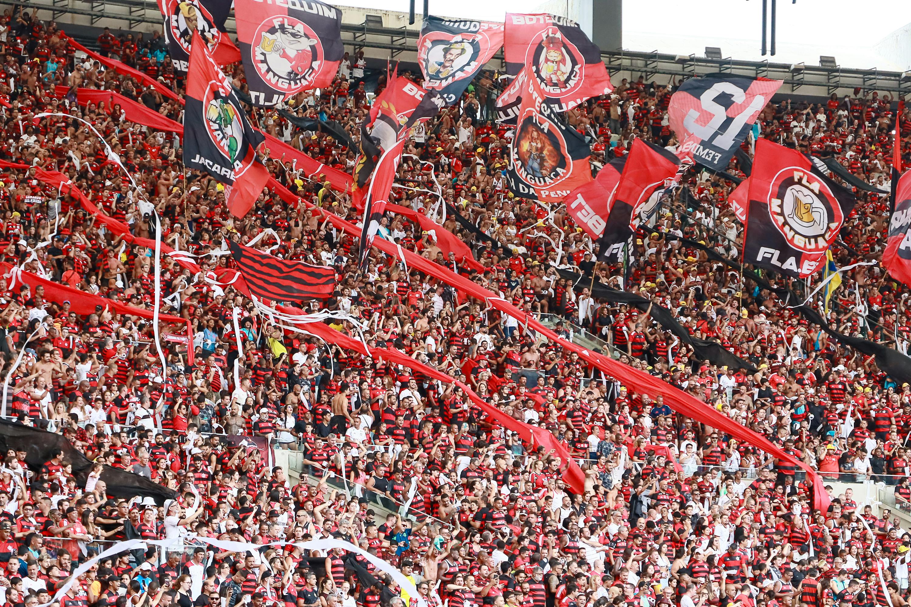 Vibrant Soccer Fans at Maracanã Stadium · Free Stock Photo