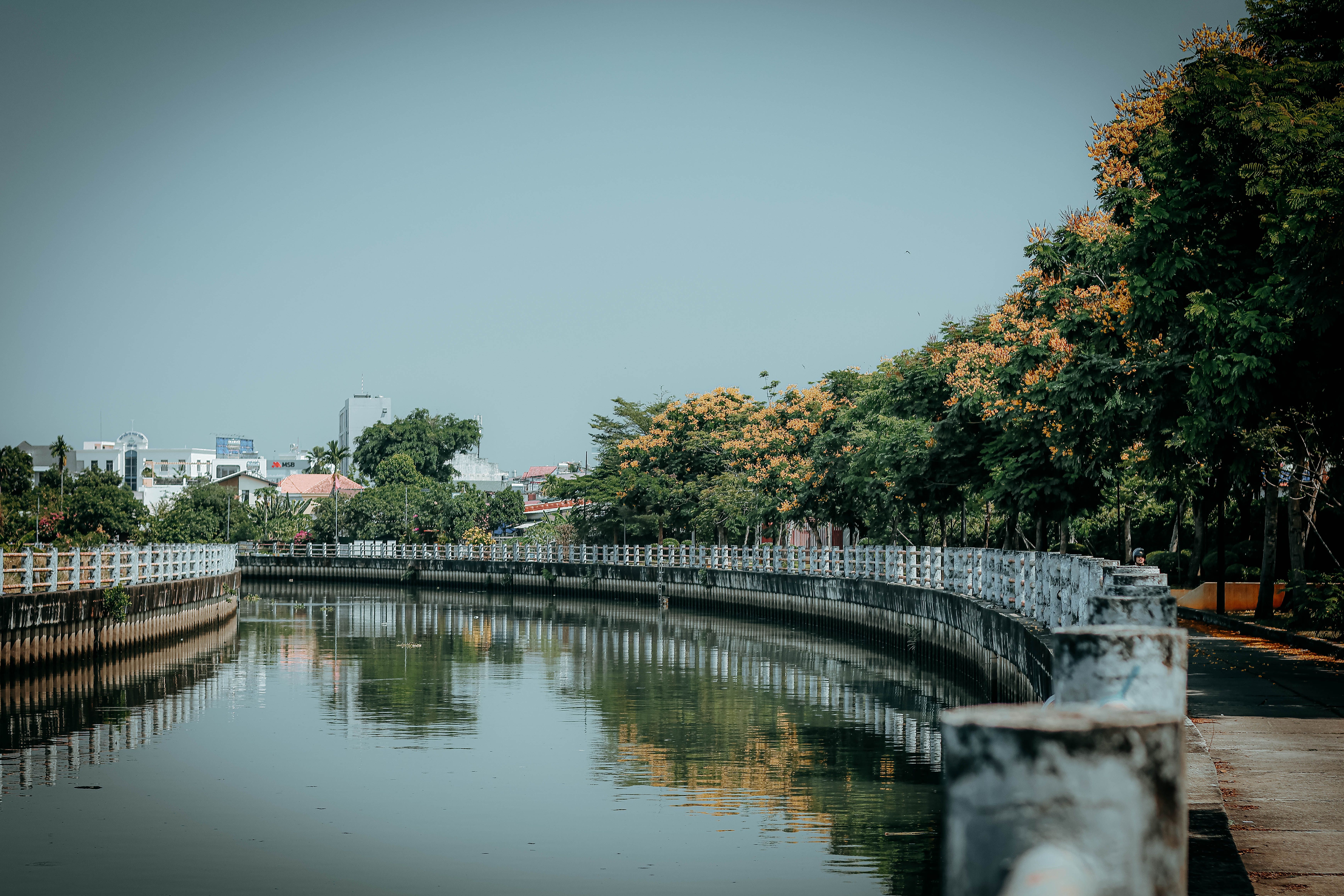 Serene Riverside Path with Trees and Reflections · Free Stock Photo