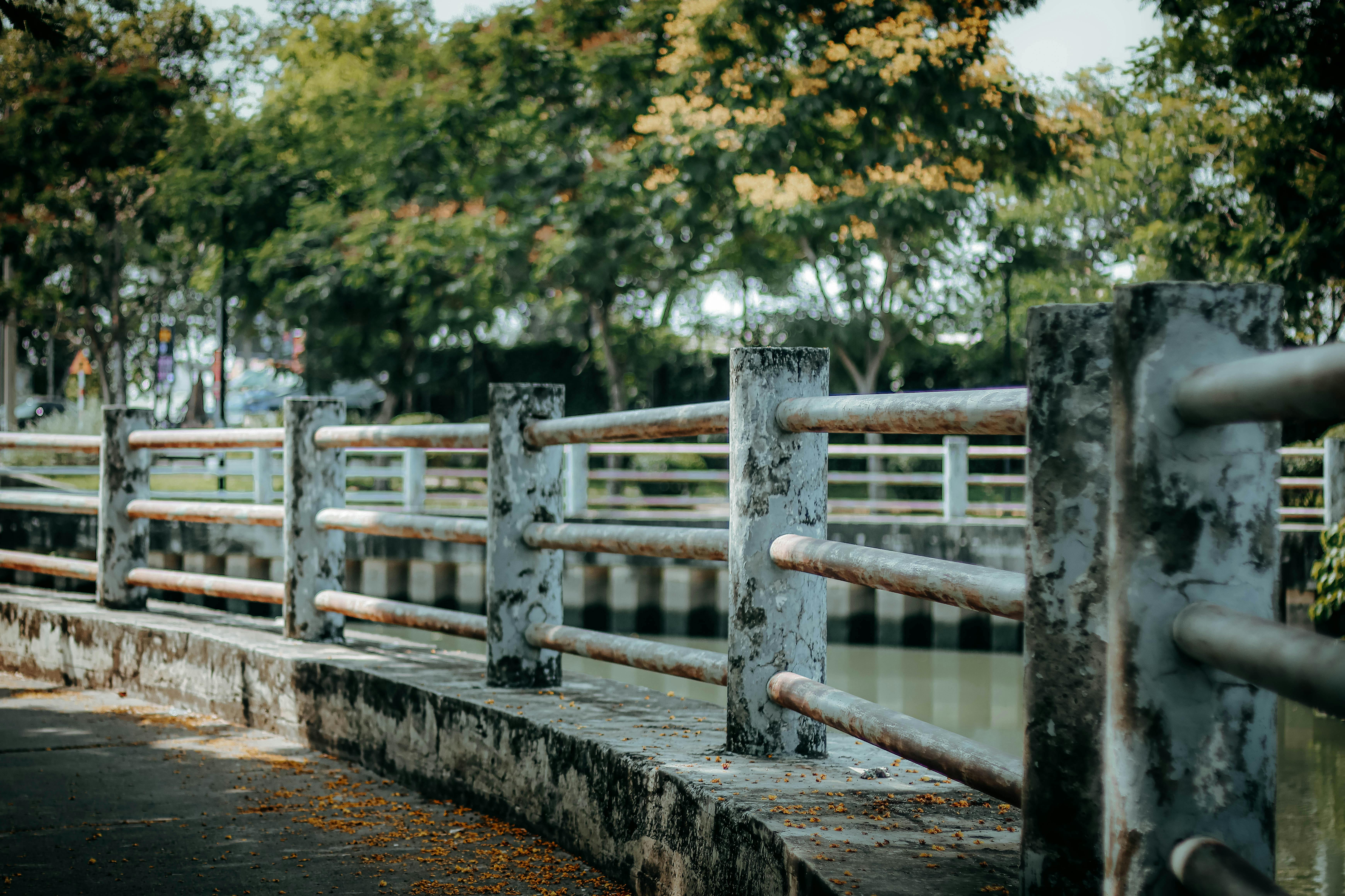 Rustic Riverside Railings with Tree Canopy · Free Stock Photo