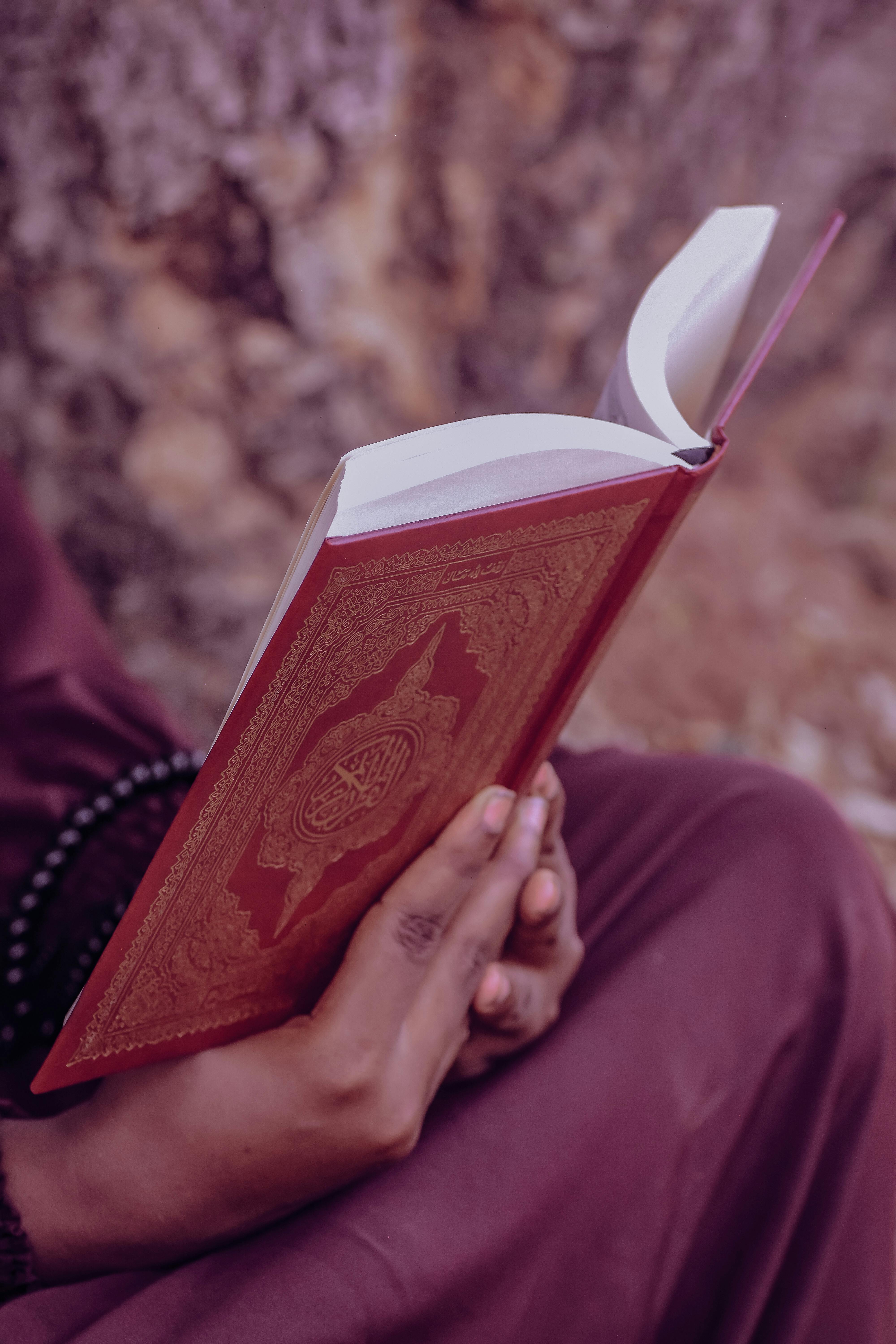 Person Reading Red Quran Outdoors Near Tree · Free Stock Photo