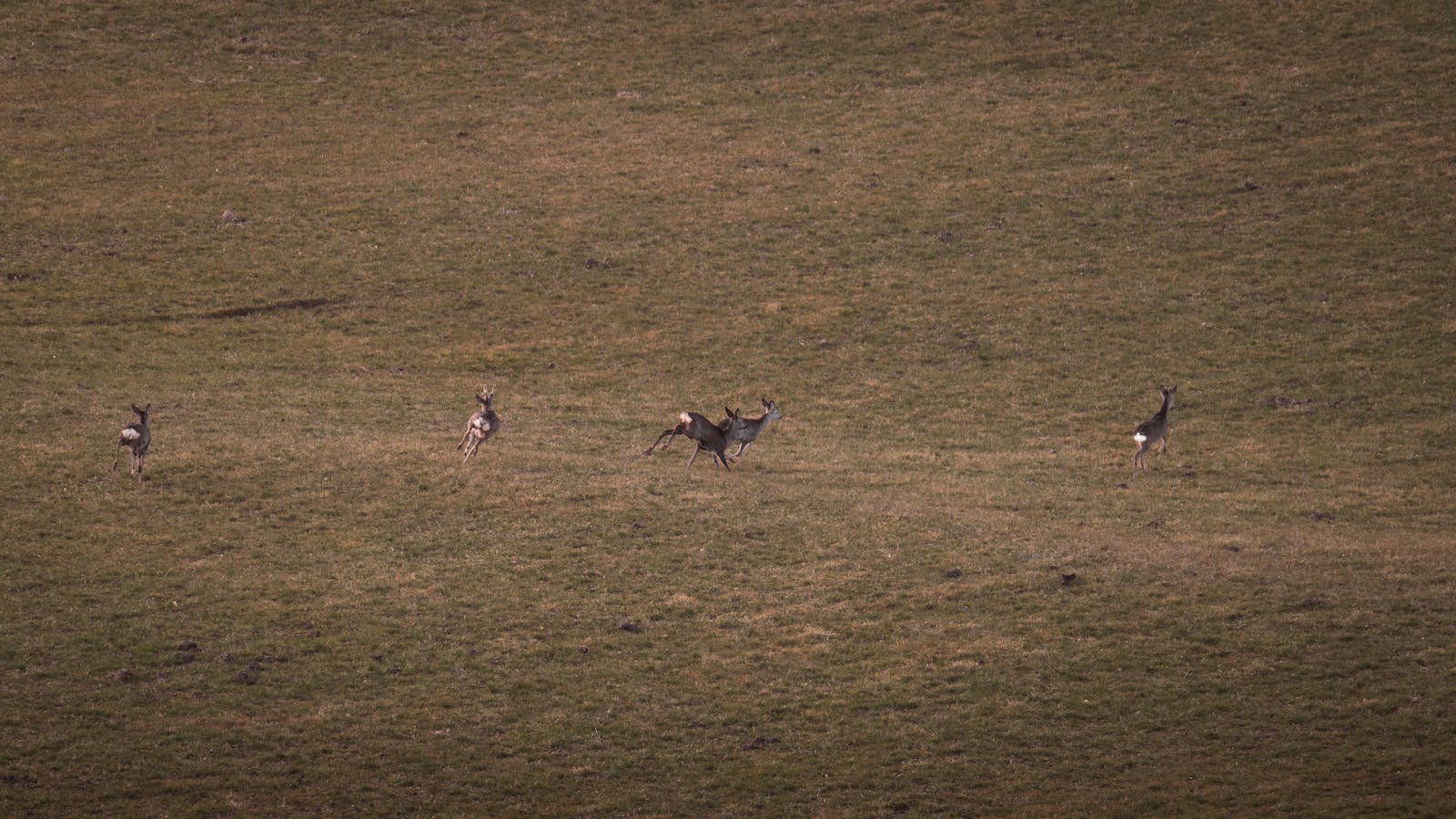 4k Running Photos, Download The BEST Free 4k Running Stock Photos & HD ...