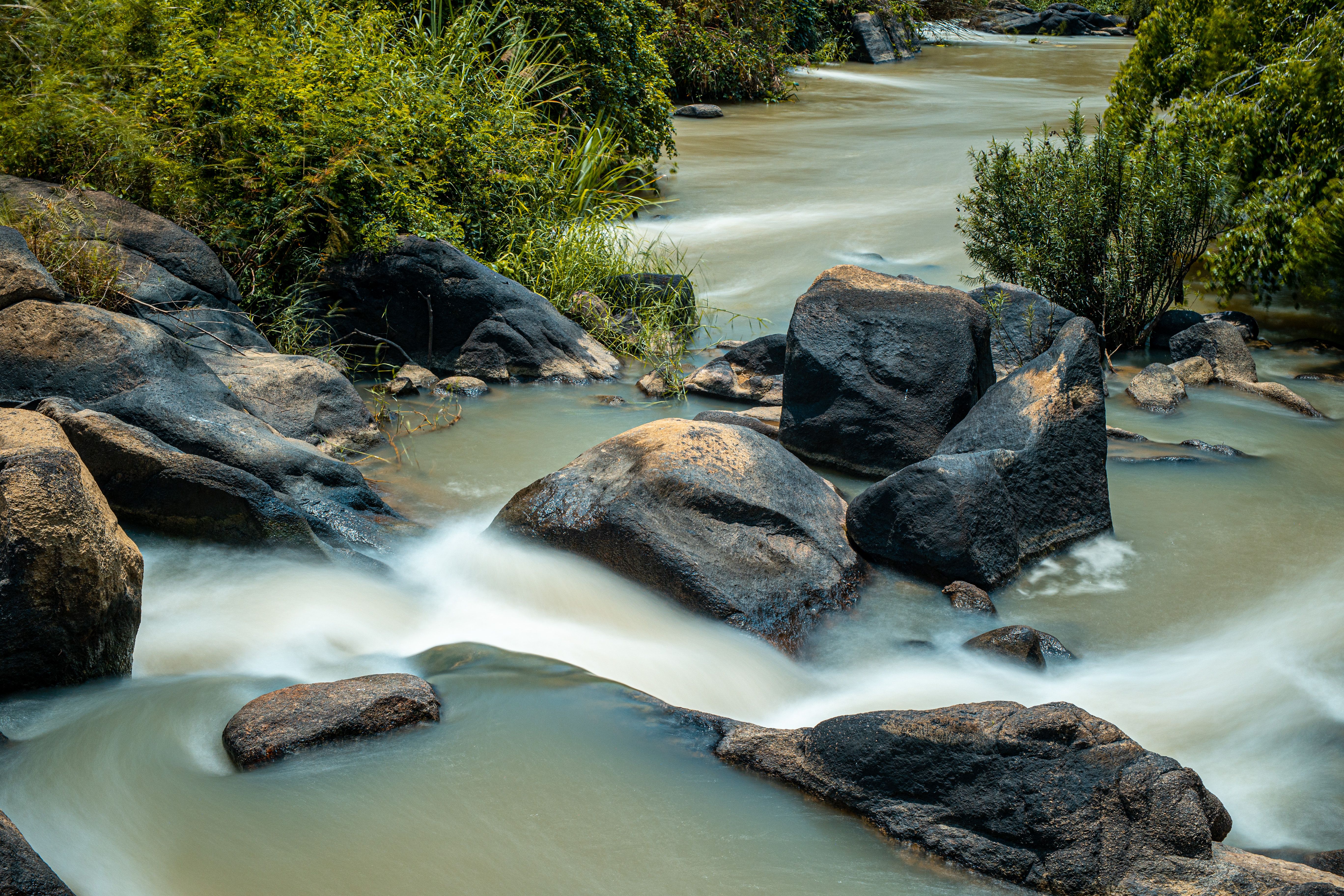 Serene Mountain Stream with Flowing Water · Free Stock Photo