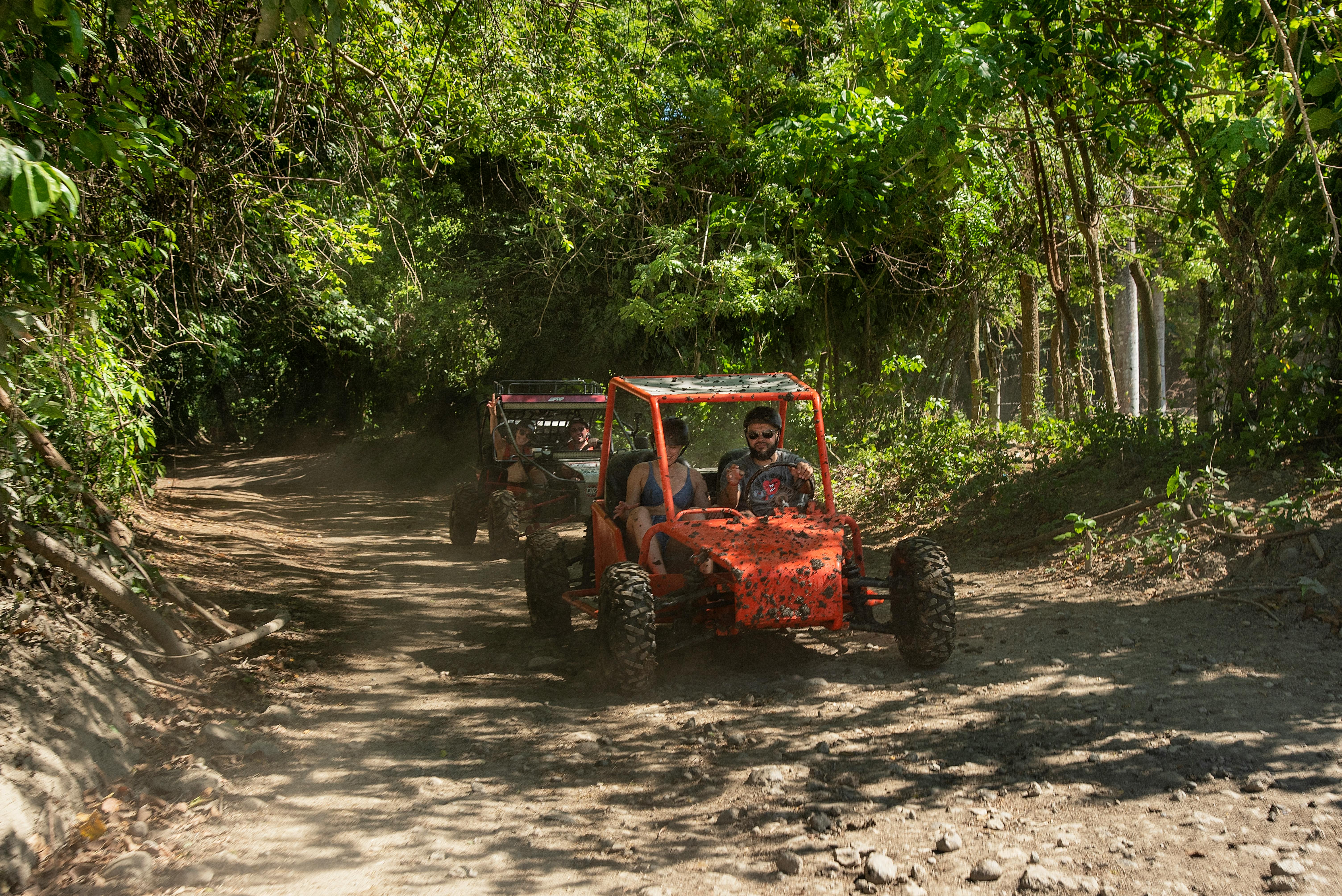 Off-Road Adventure with Two ATVs in Forest · Free Stock Photo