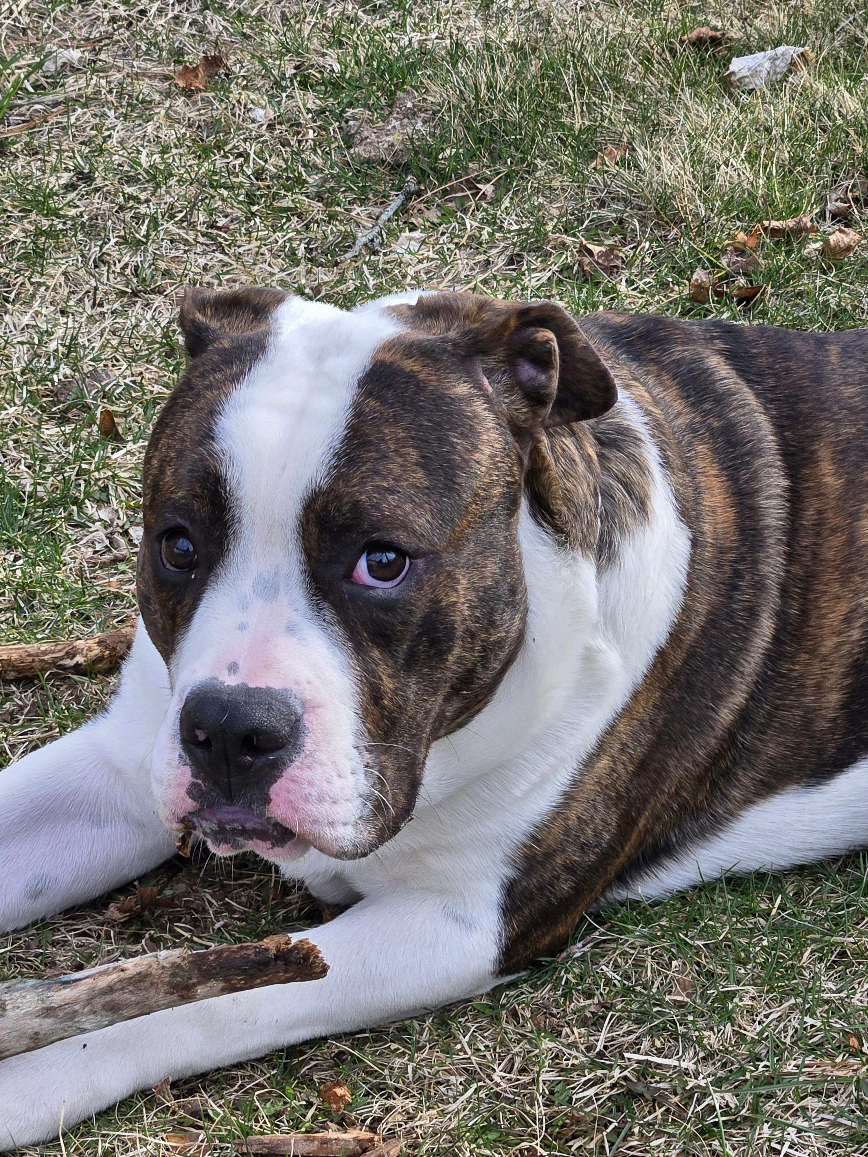 Eyes Doctr Photos, Download The BEST Free Eyes Doctr Stock Photos & HD ...