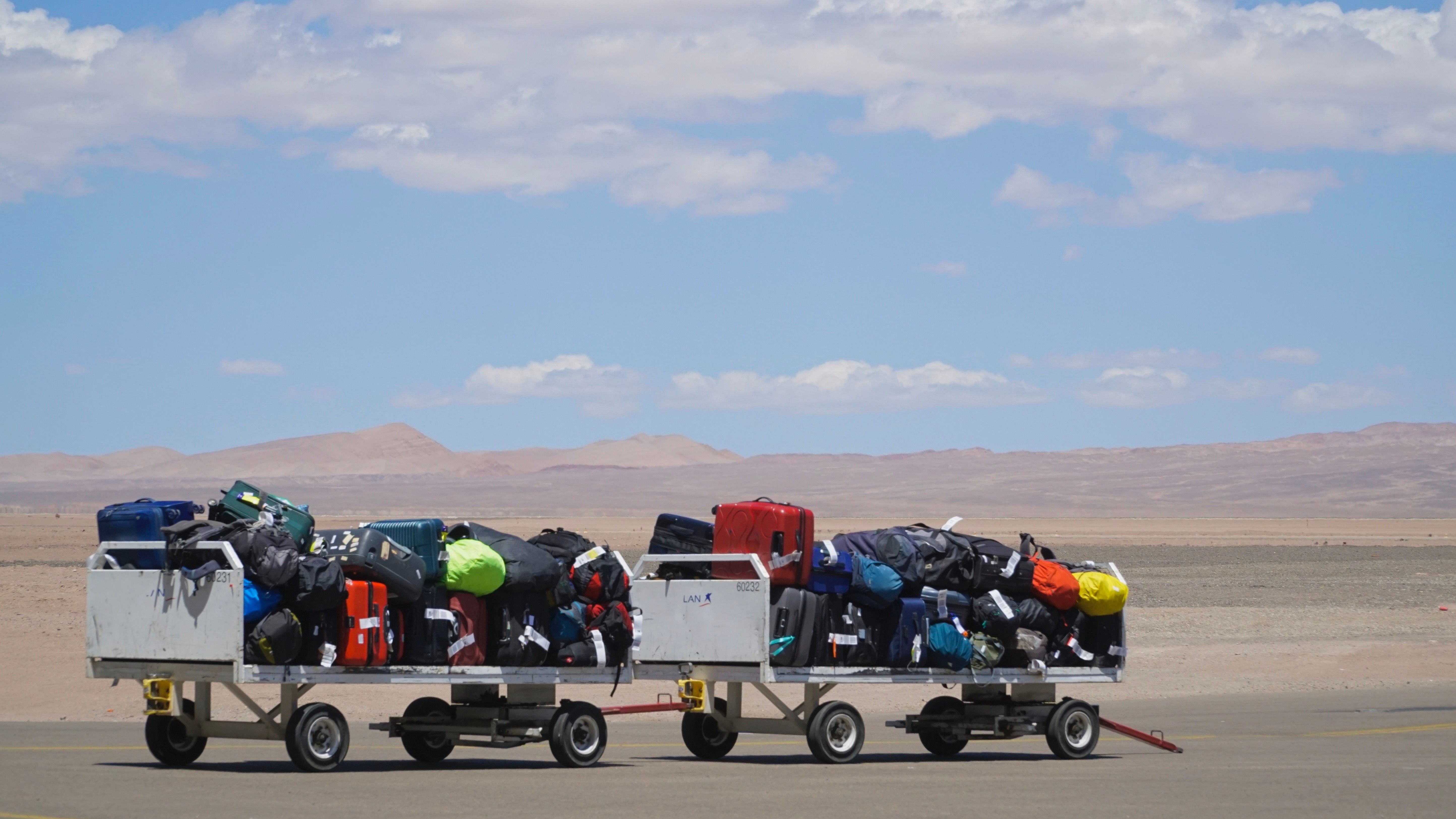 Airport Luggage Carts Loaded with Colorful Bags · Free Stock Photo