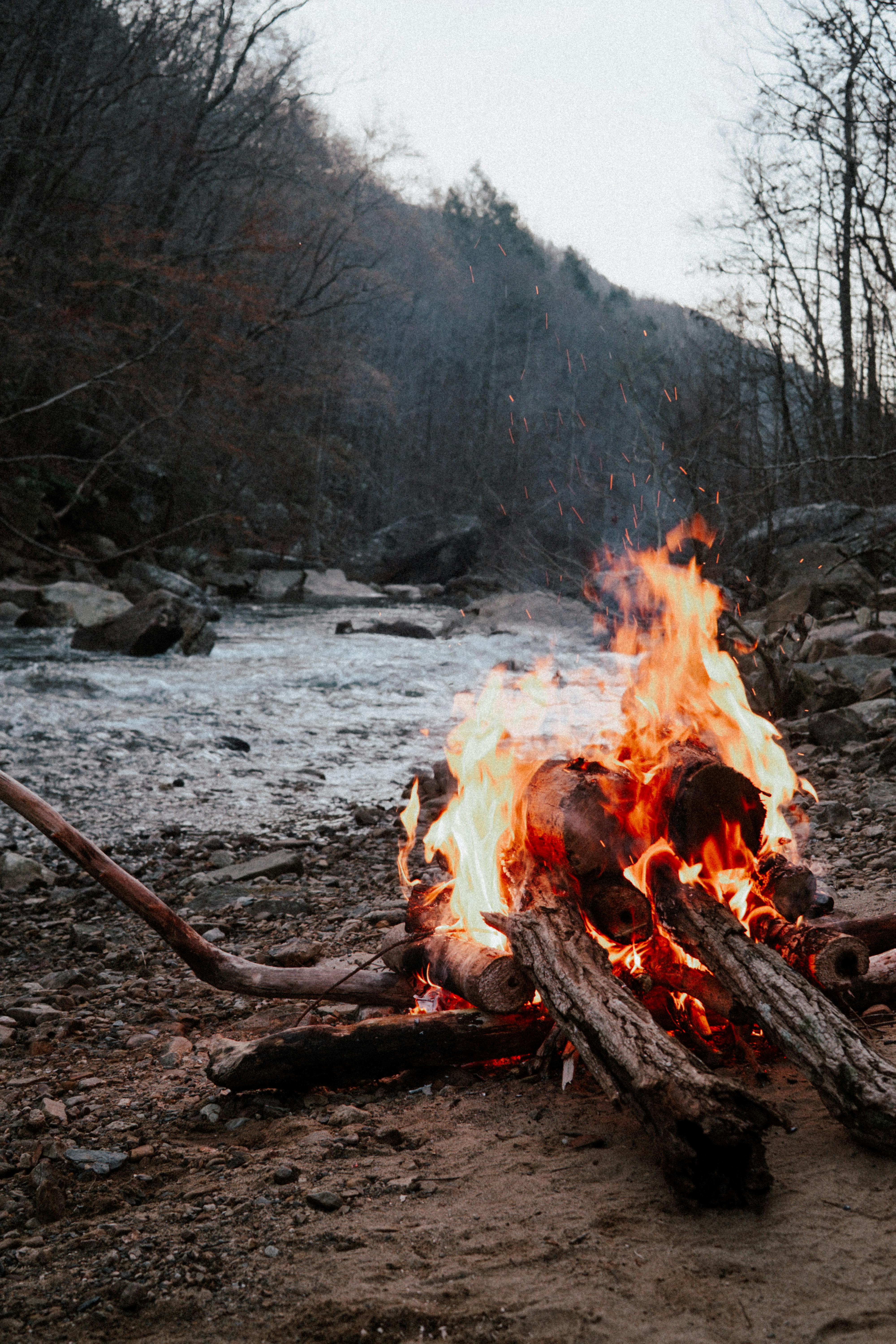 Crackling Campfire by a Forest Stream in Fall · Free Stock Photo
