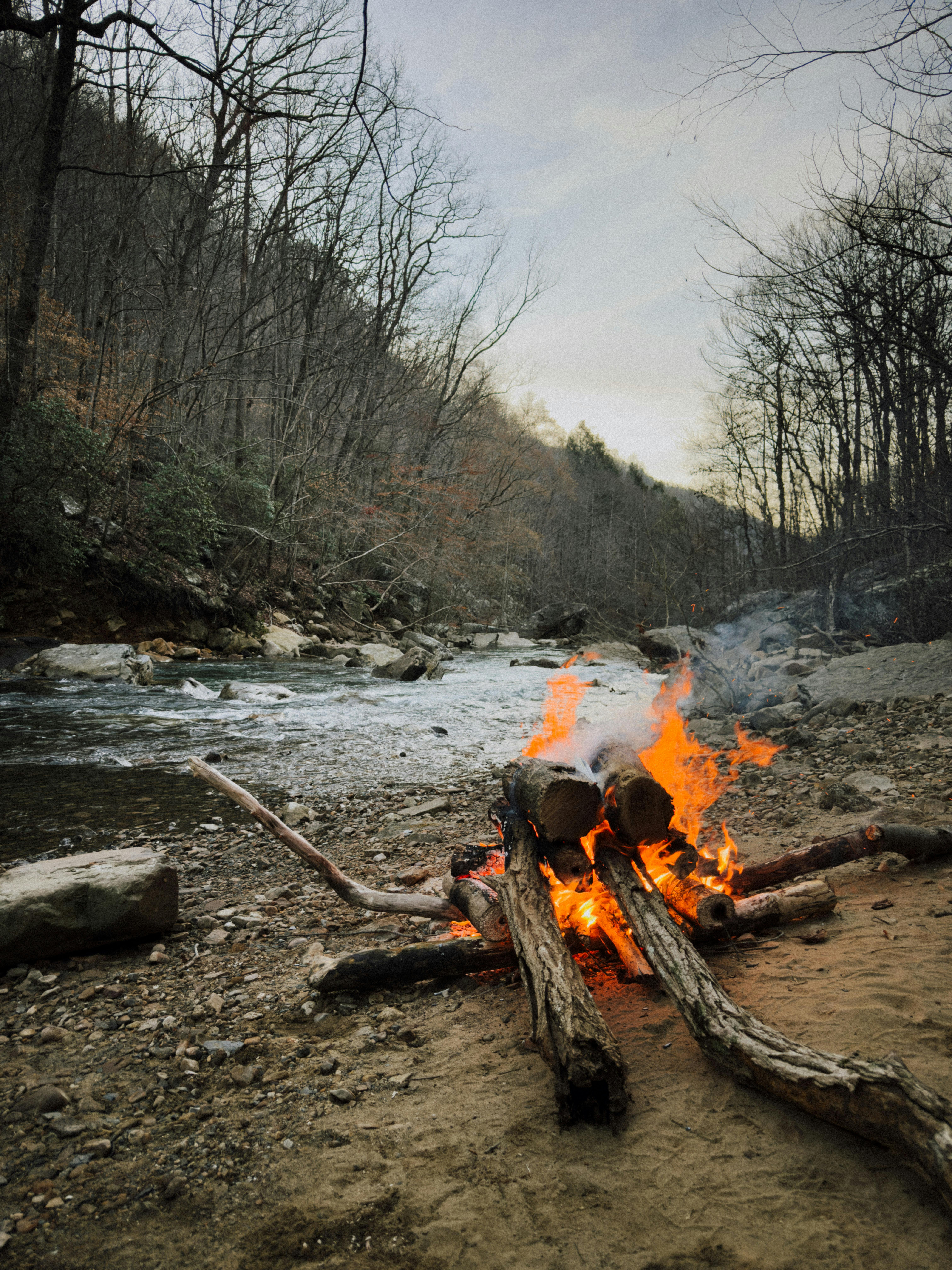 Campfire by Forest Stream in Chattanooga · Free Stock Photo