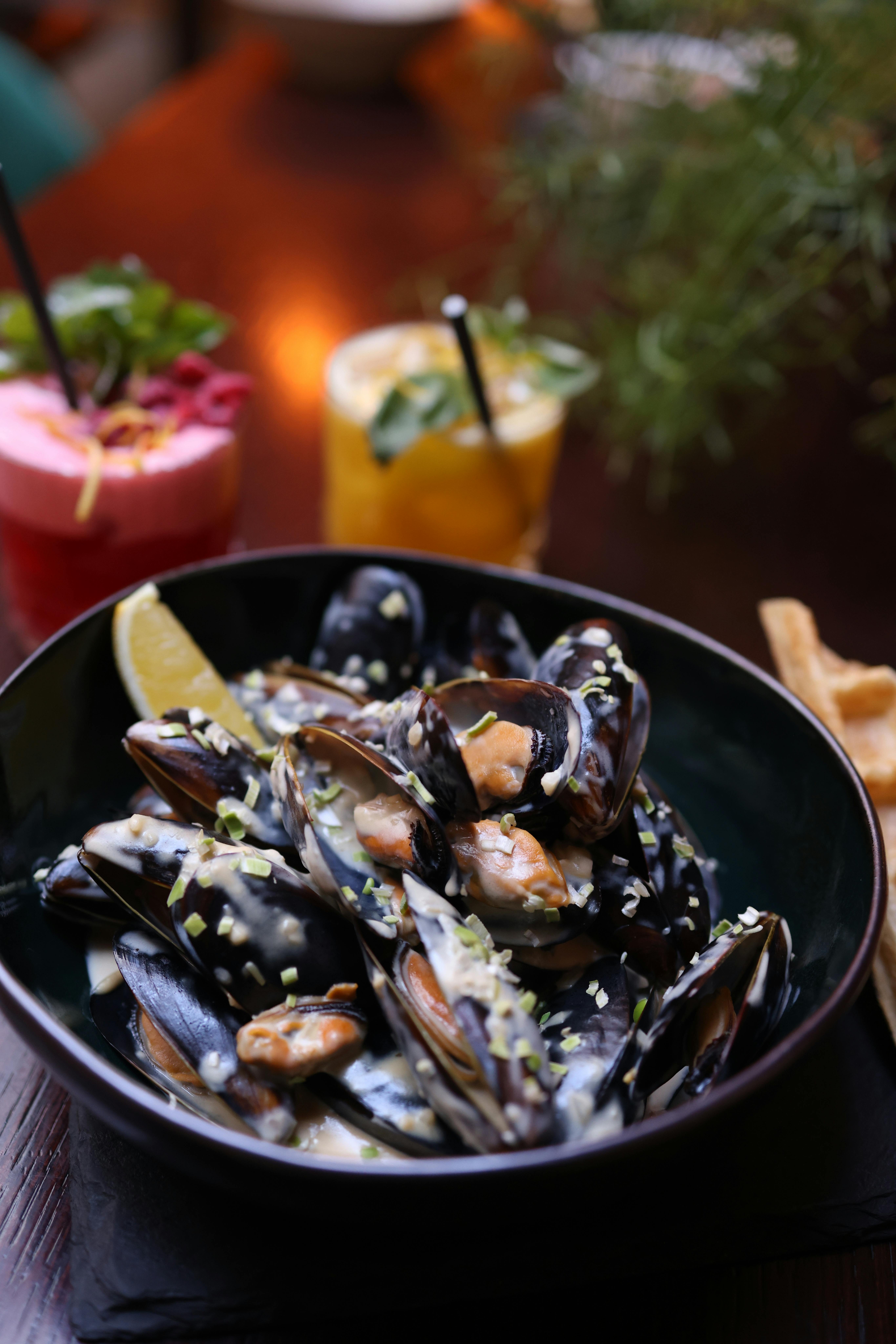 Gourmet Mussels and Cocktails on Rustic Table · Free Stock Photo