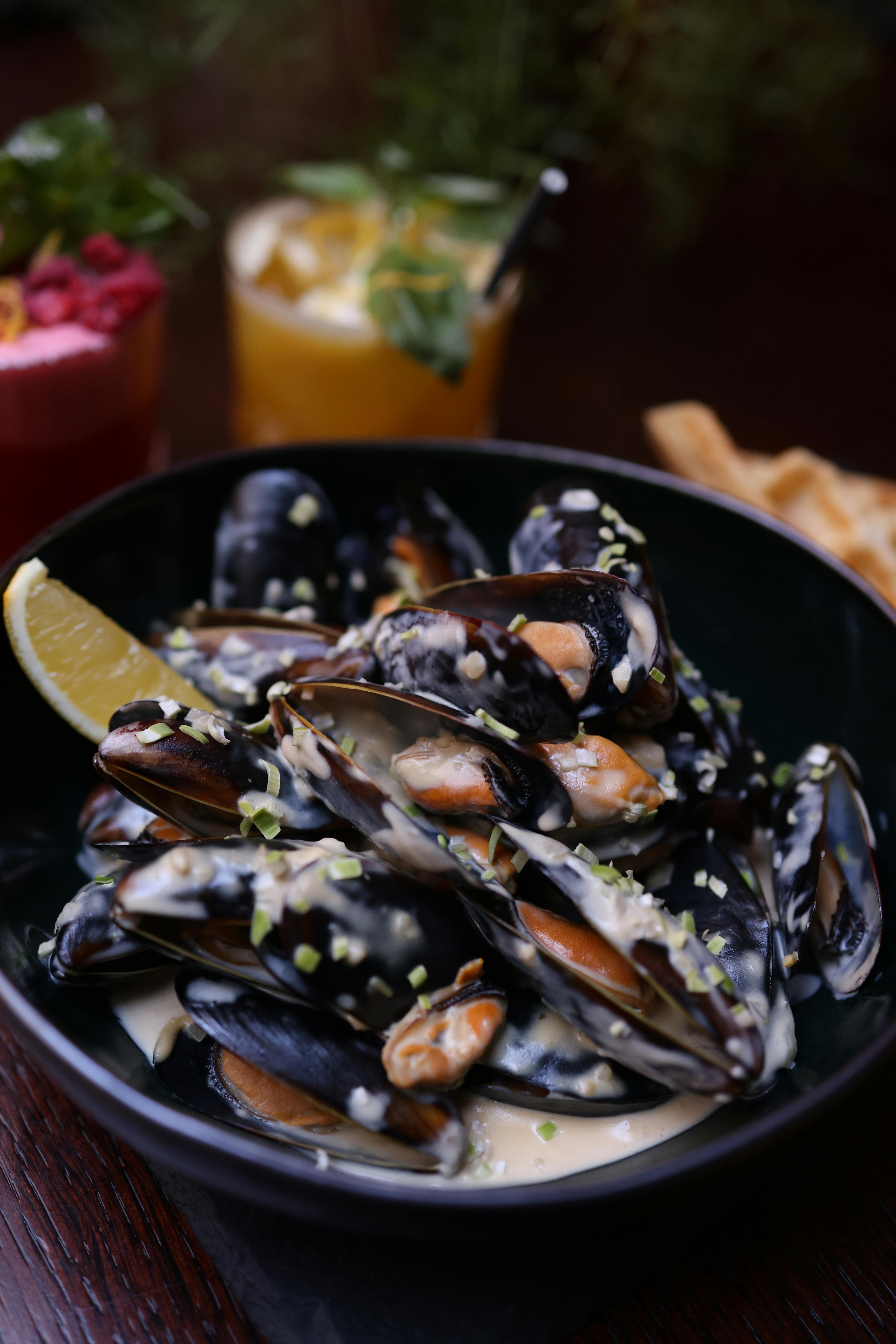 Gourmet Mussels with Creamy White Sauce · Free Stock Photo