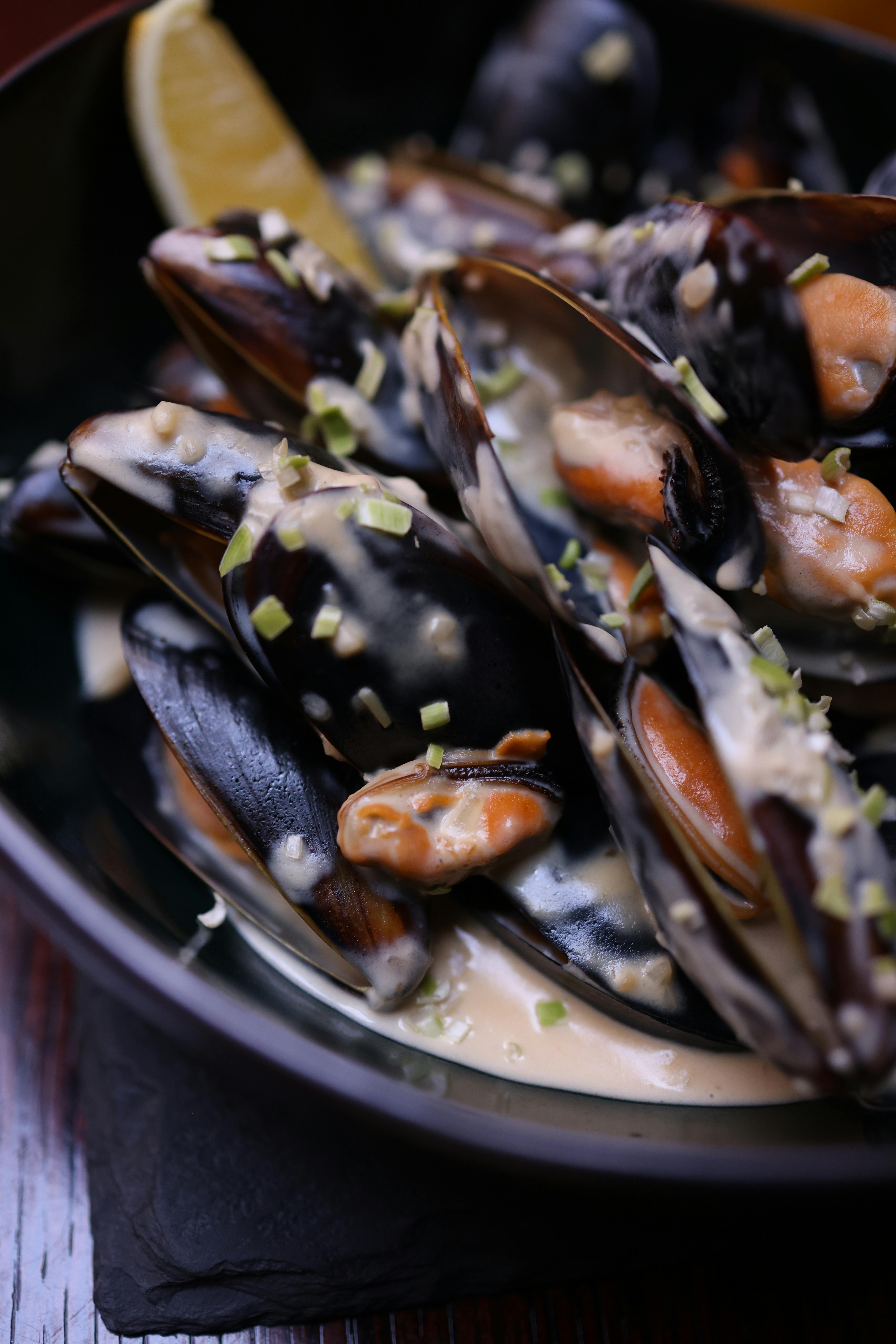 Shellfish Dish Photos, Download The BEST Free Shellfish Dish Stock ...